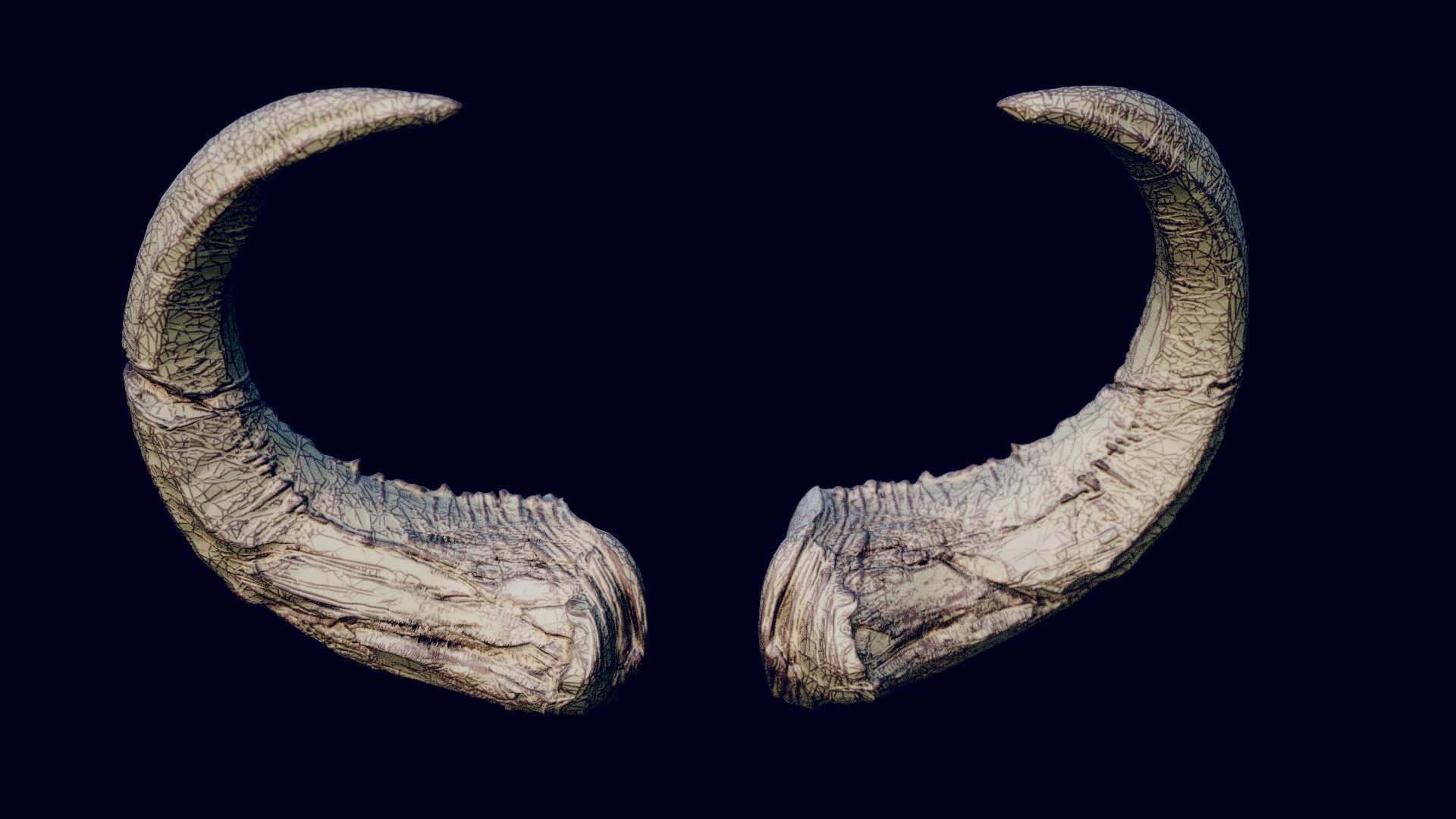 Bernhard van der Horst 3D Artist - Horns Volume 2