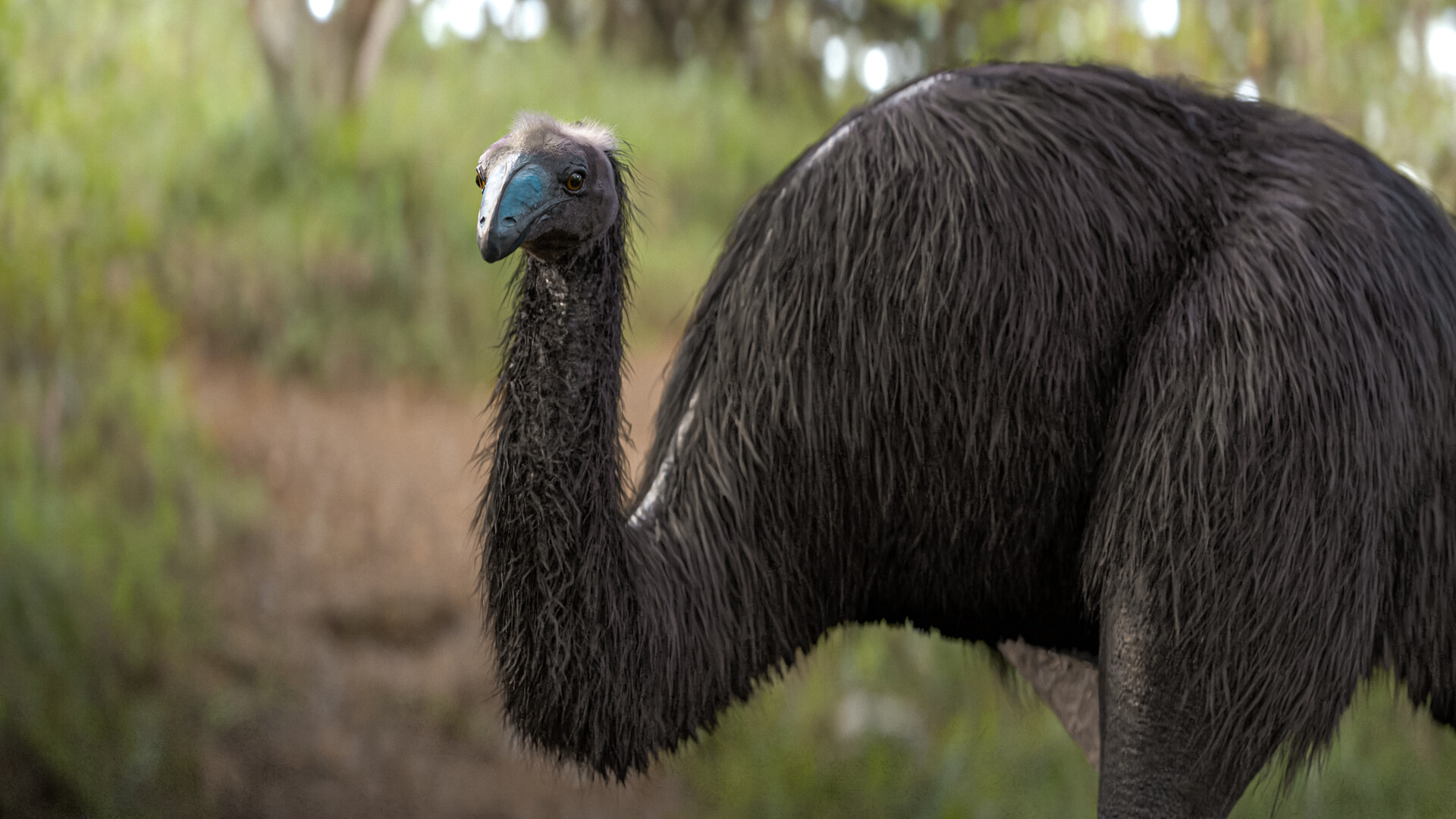 Jonathan Harris - South Island Giant Moa Life Reconstruction