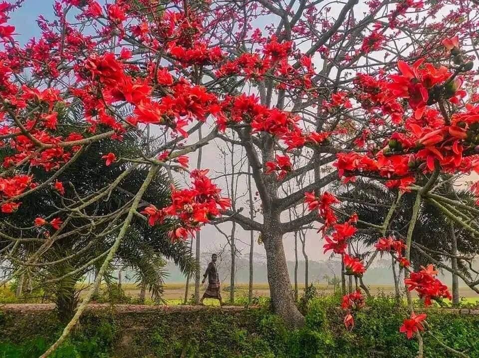 ArtStation - WATCH "Dune: Part Two" (FullMovie) 123Movies On HD Free Online