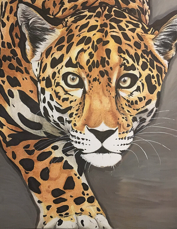 Kayla Bachmeier - Animal Portraits