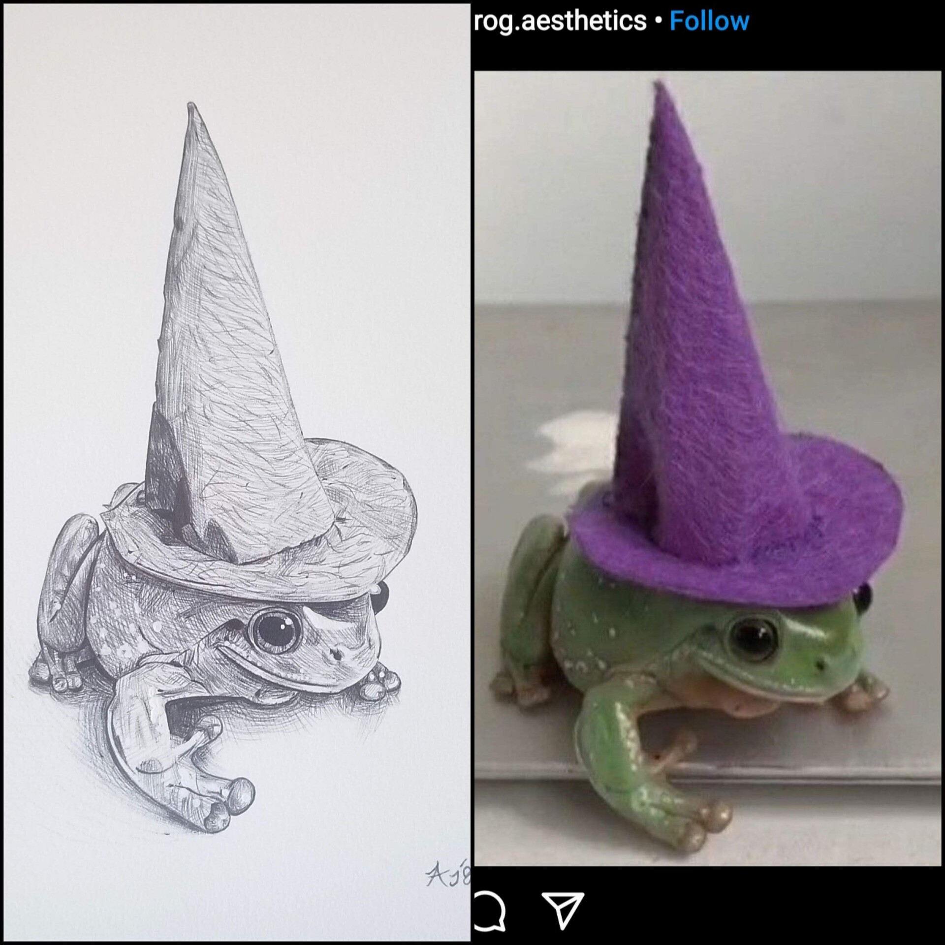 Blue Rose Arts Ashley - Wizard Frog Pen Portrait