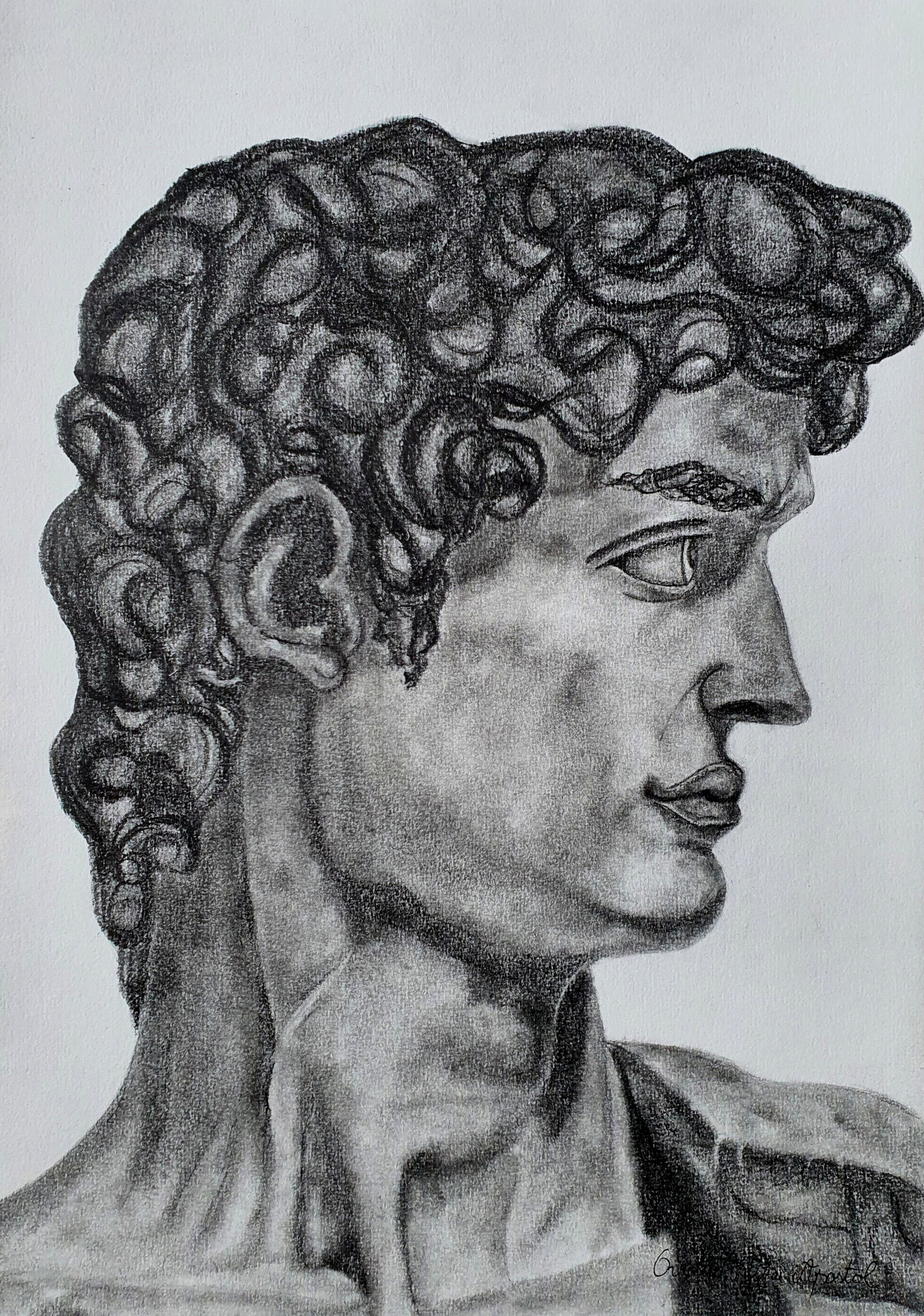 Ovidiu Apostol - Michelangelo’s David
