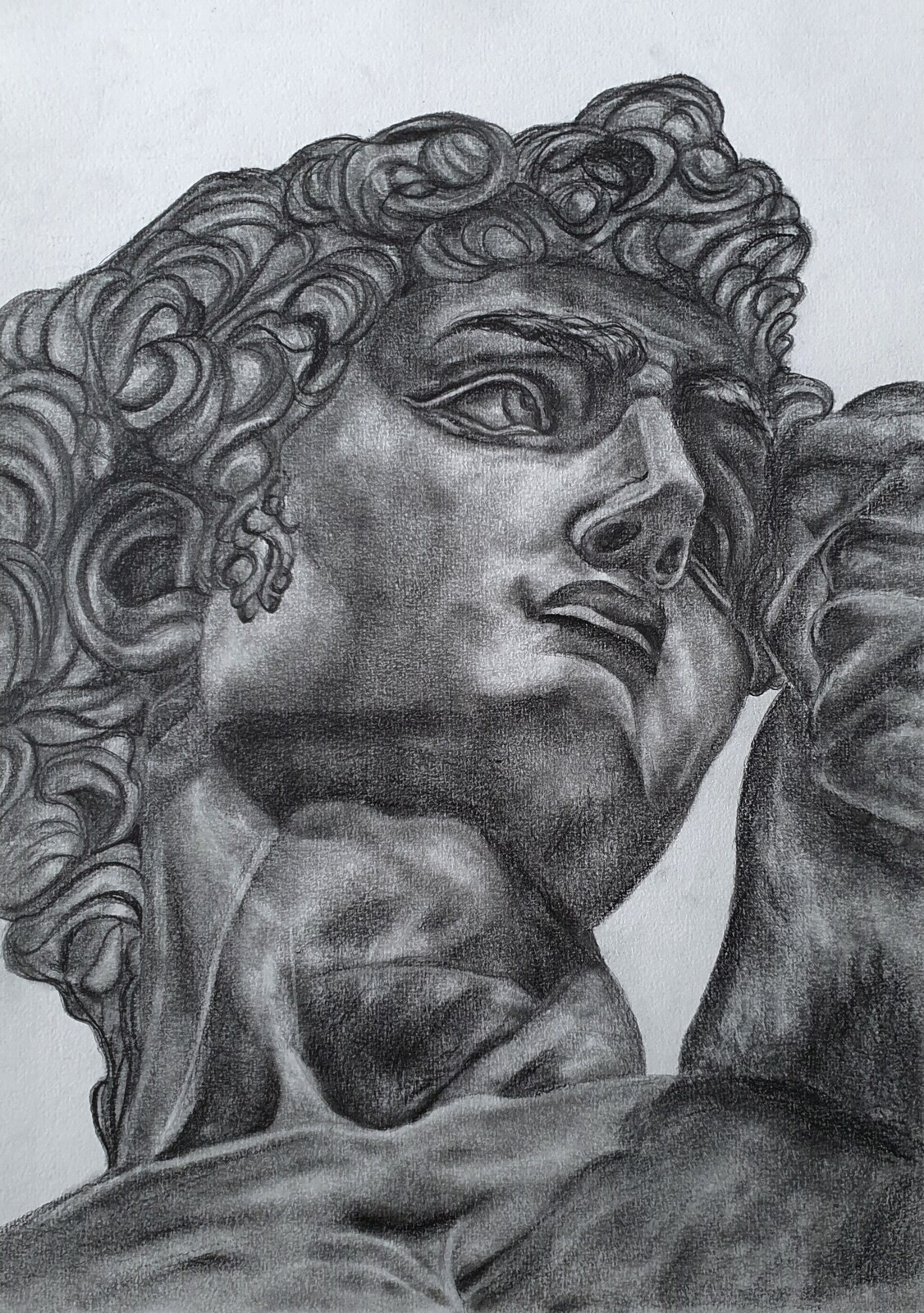 Ovidiu Apostol - Michelangelo’s David