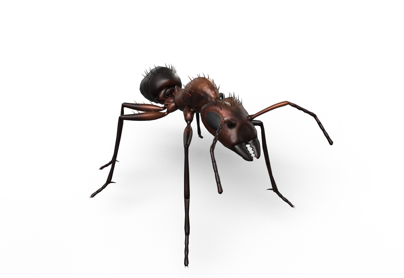 ArtStation - Low Poly Ant Character