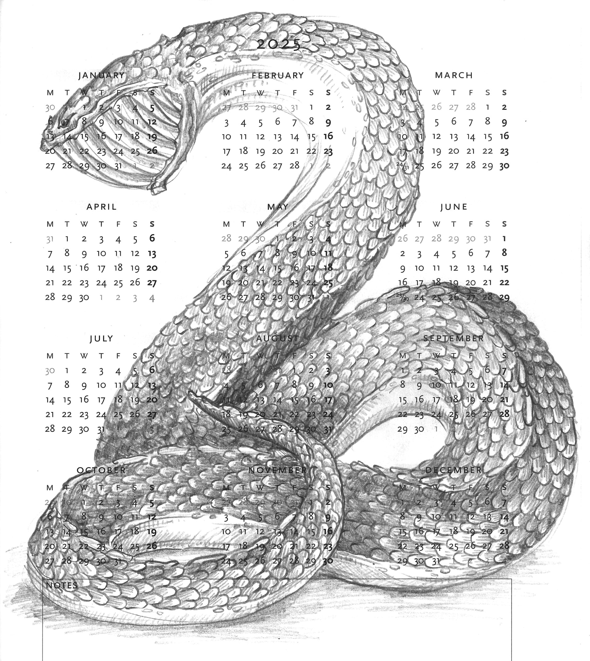 how to draw a basilisk snake