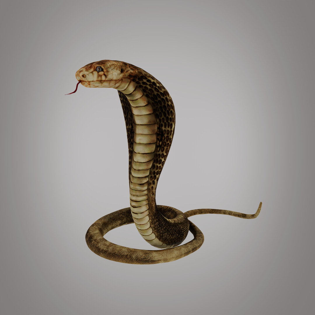 ArtStation - 3D Snake Rig for Animation
