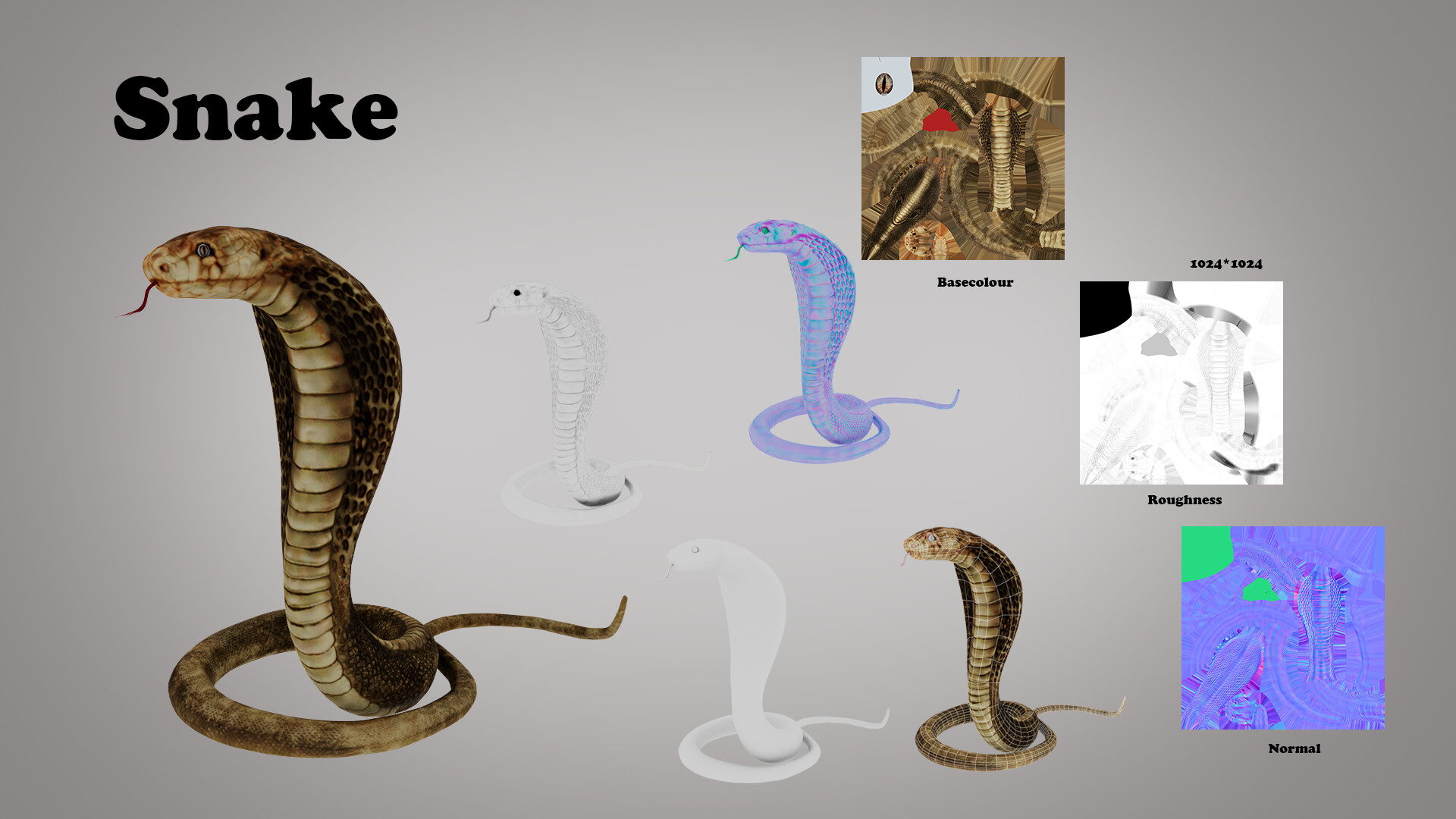 Jayakumar R - 3D Snake Rig for Animation