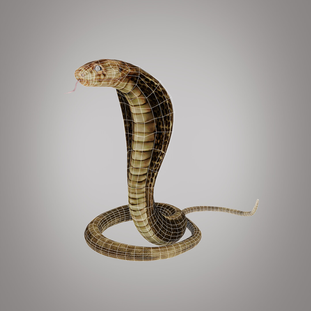 Jayakumar R - 3D Snake Rig for Animation