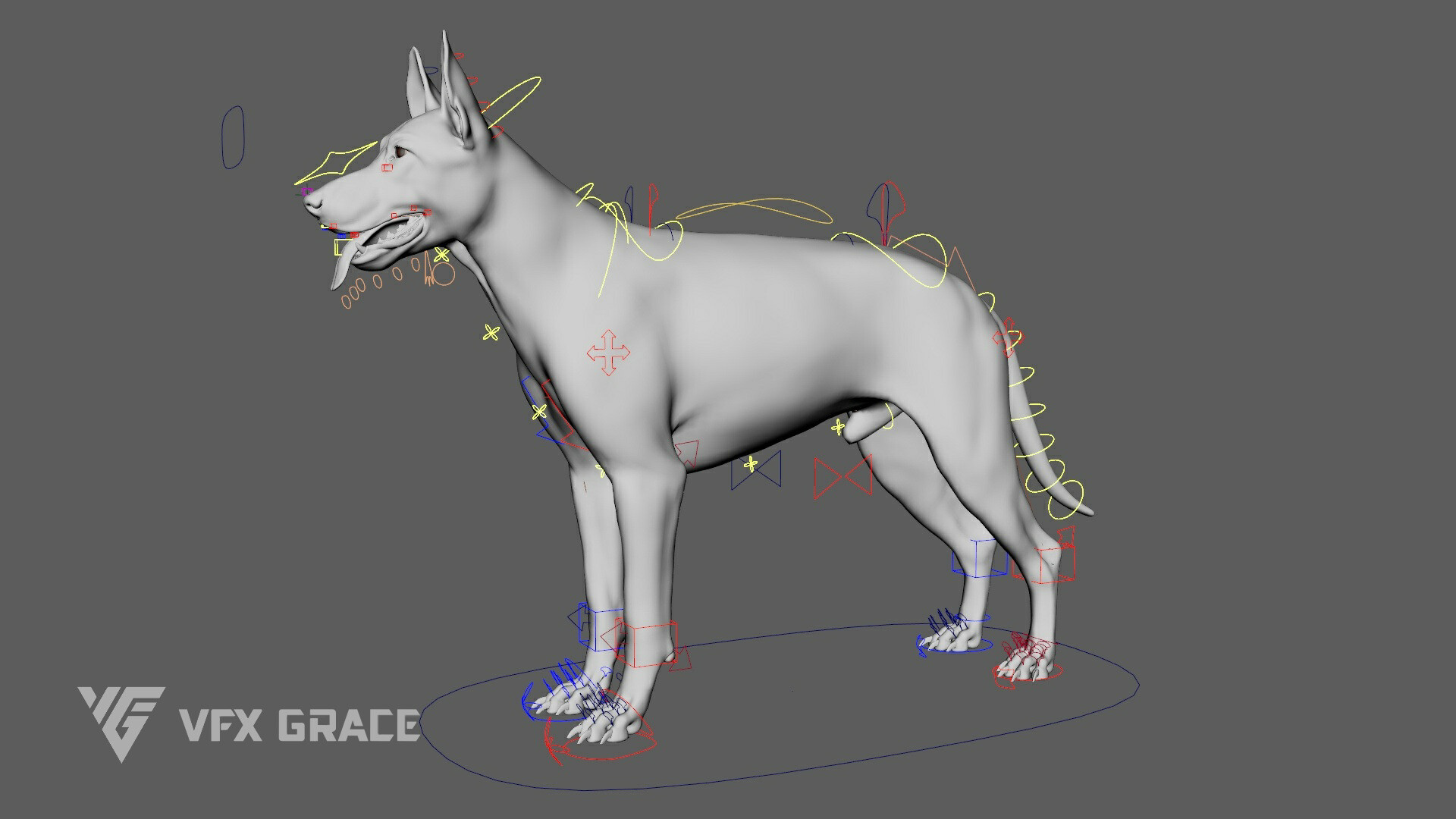 VFX models - German Shepherd Animation - MAYA Character Asset