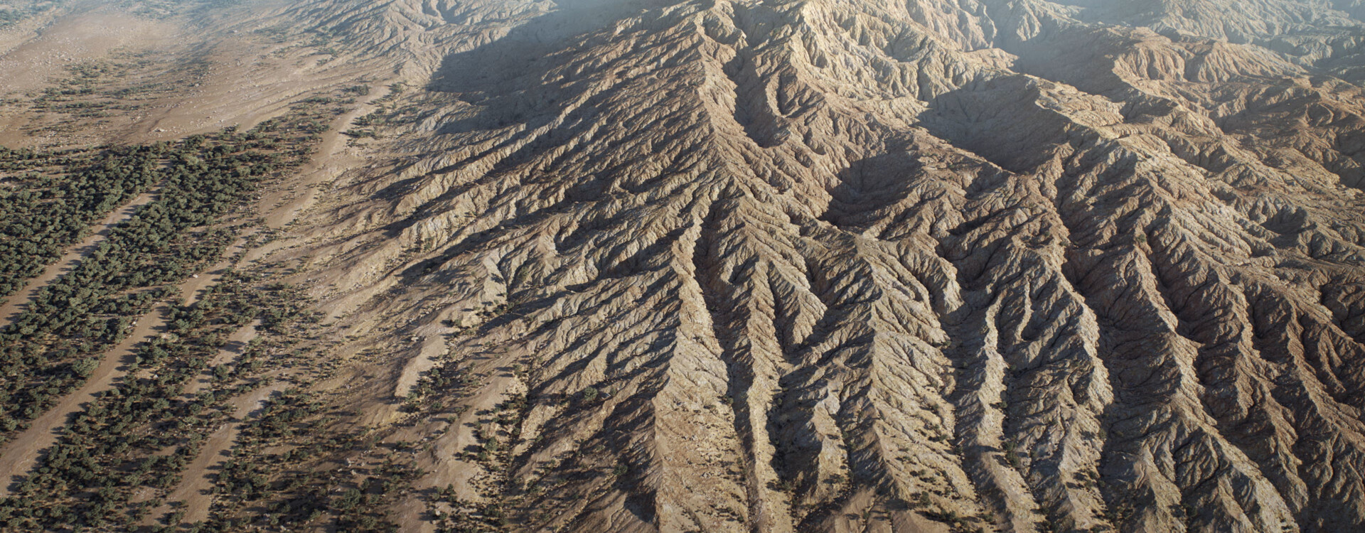World Creator - The Real-Time Terrain Generator and Landscape Generator ...