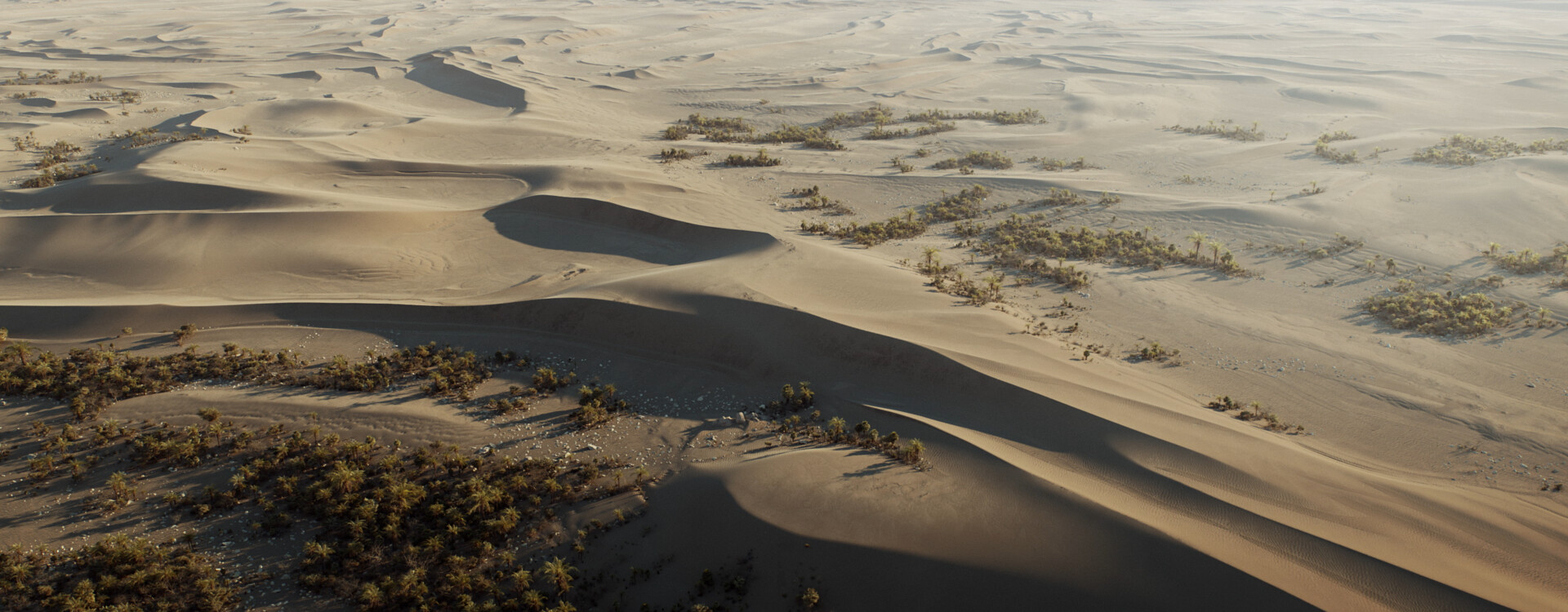 World Creator - The Real-Time Terrain Generator and Landscape Generator ...