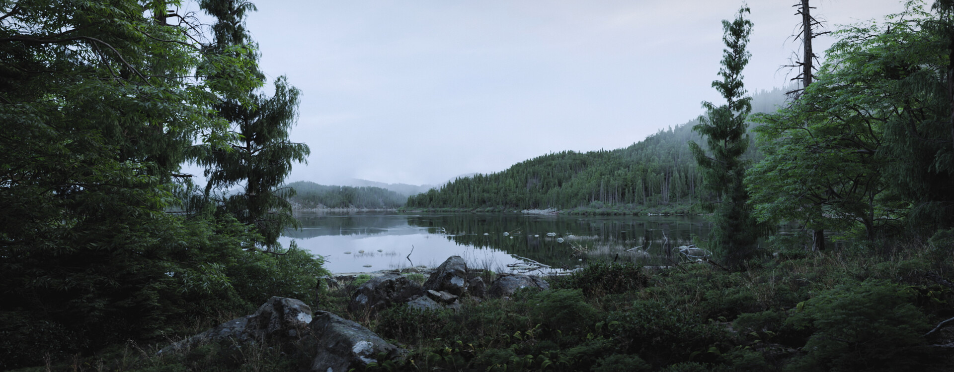 World Creator - The Real-Time Terrain Generator and Landscape Generator ...