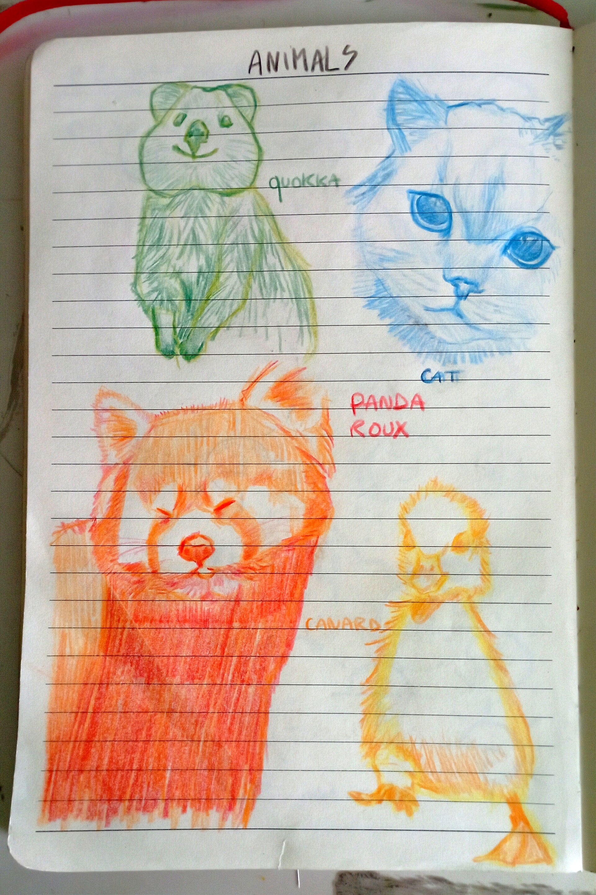 ArtStation - Animals Sketches