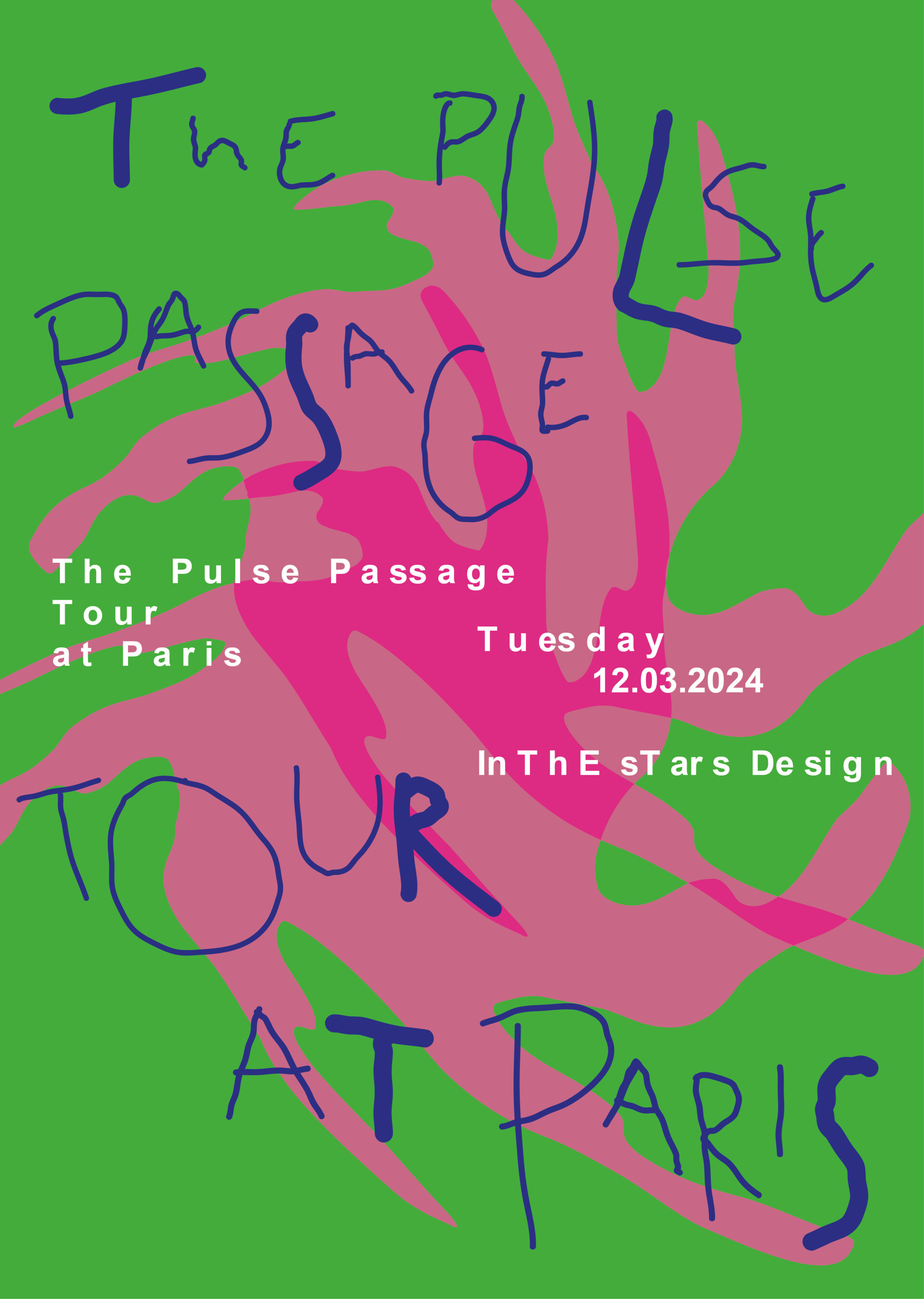 Aïda NDIAYE - "The Pulse Passage Tour" Poster - Personal Project