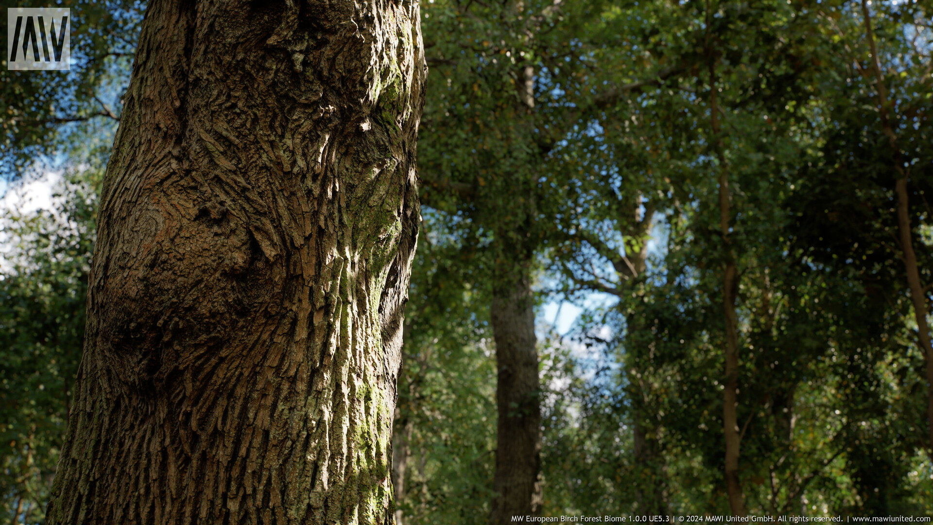 MAWI United - UE5.3 Birch Forest Biome