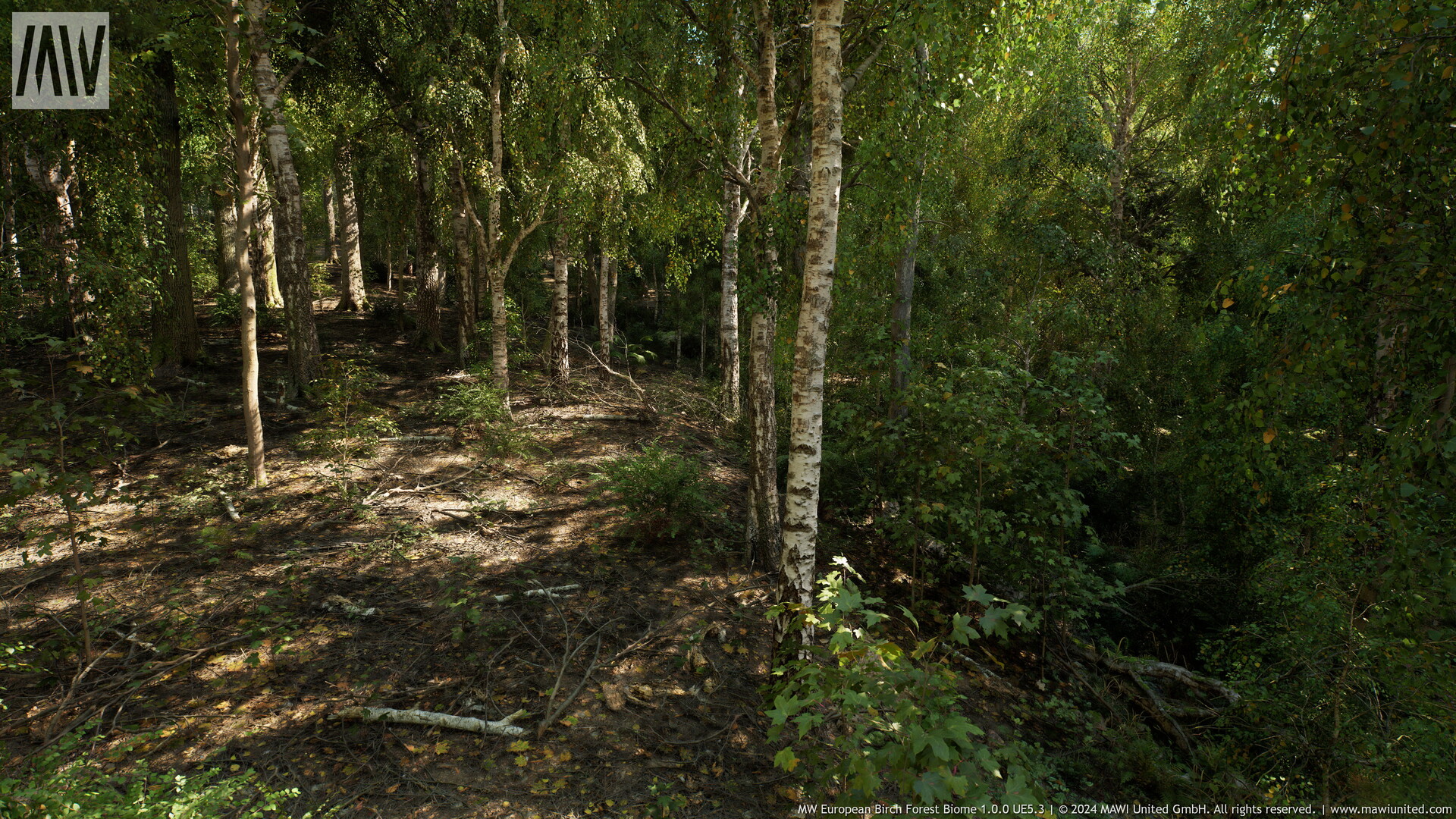 MAWI United - UE5.3 Birch Forest Biome