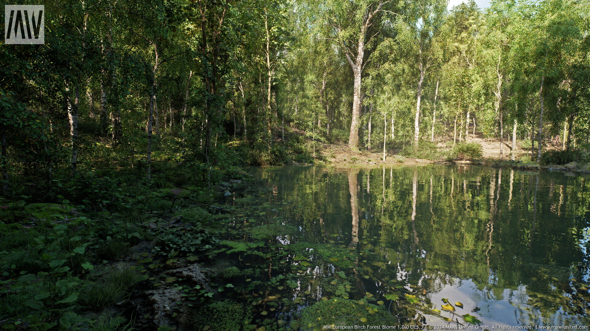 MAWI United - UE5.3 Birch Forest Biome