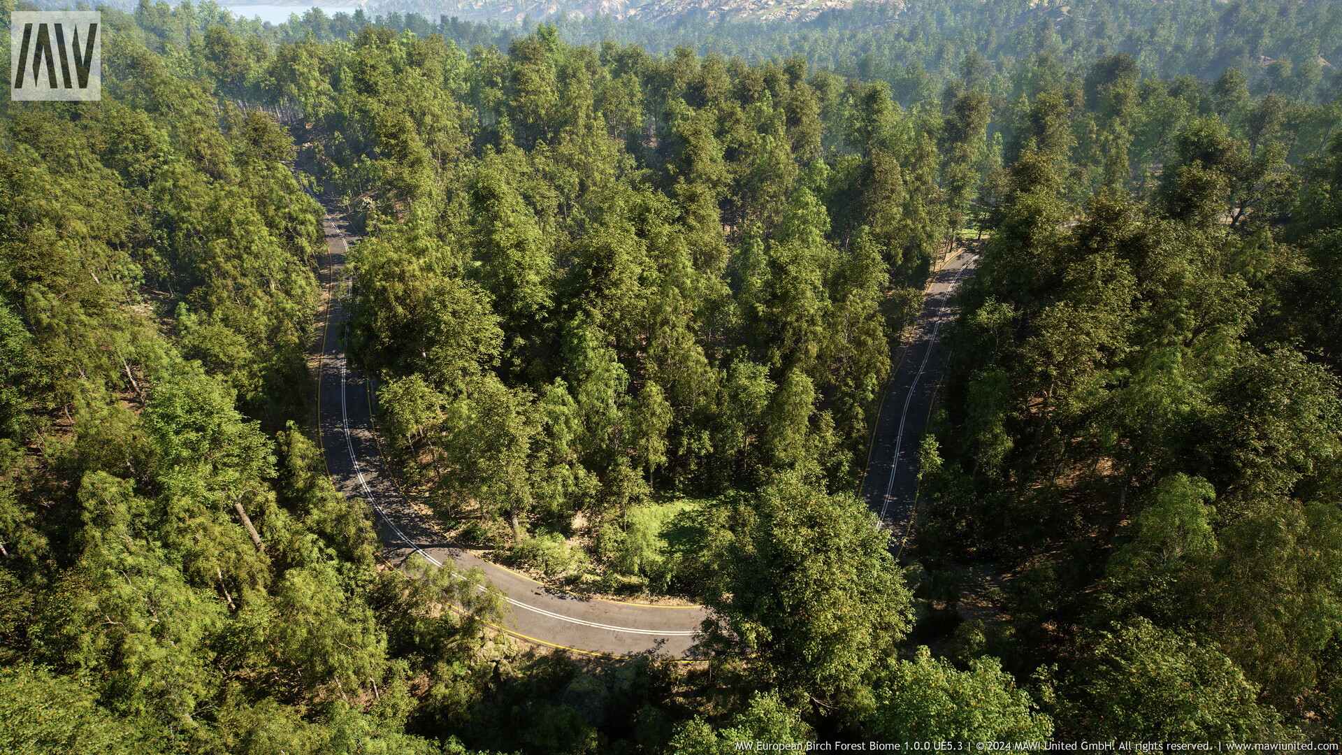 MAWI United - UE5.3 Birch Forest Biome