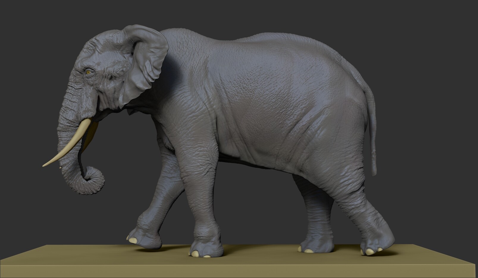 Mitchell Doyle Sisson 3D - African Elephant study