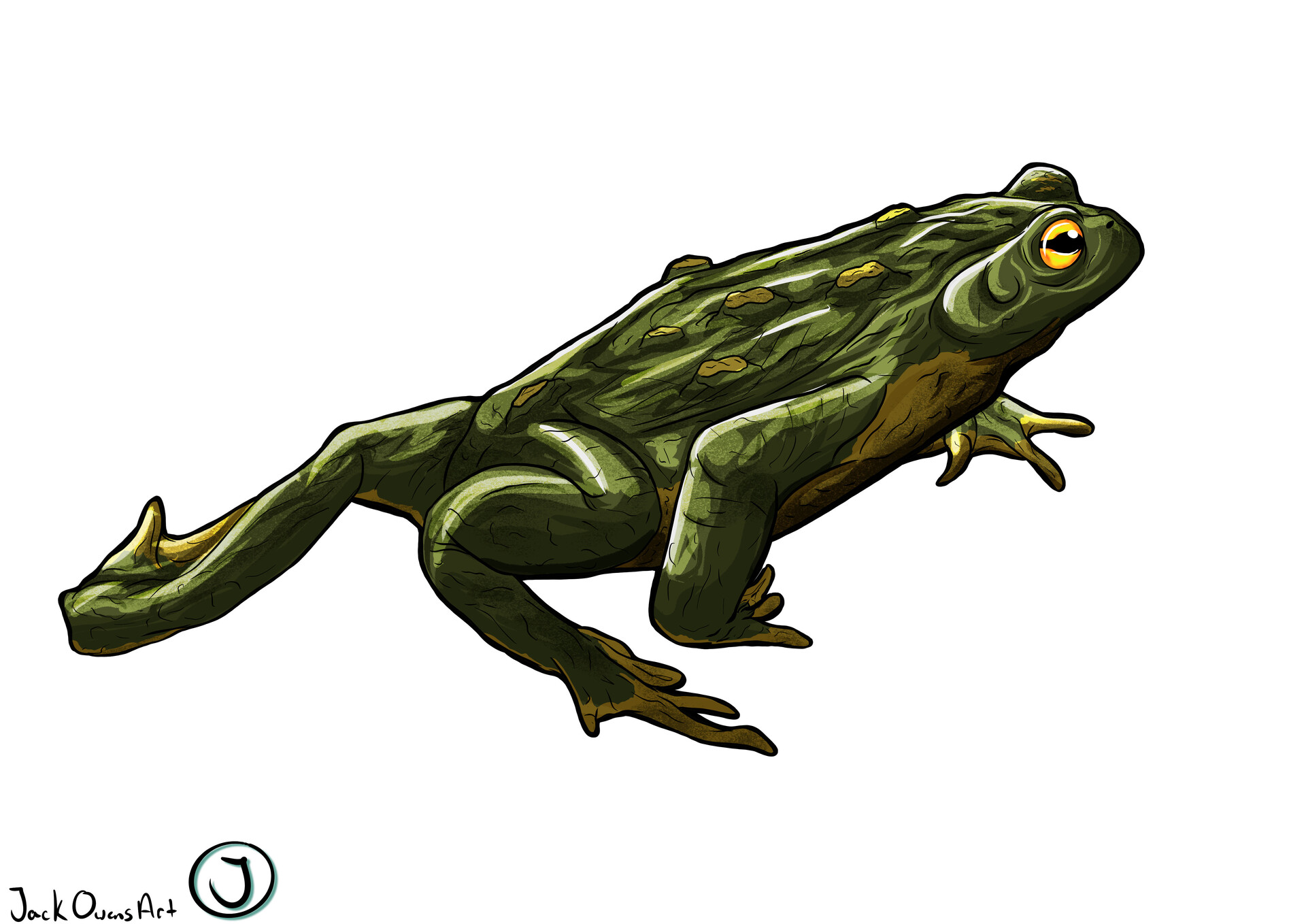 giant toad dnd token