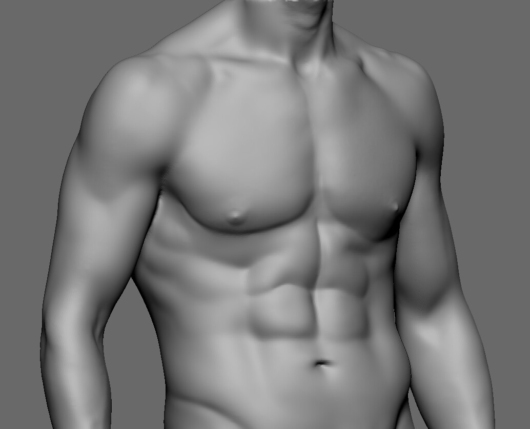 ArtStation - Torso study