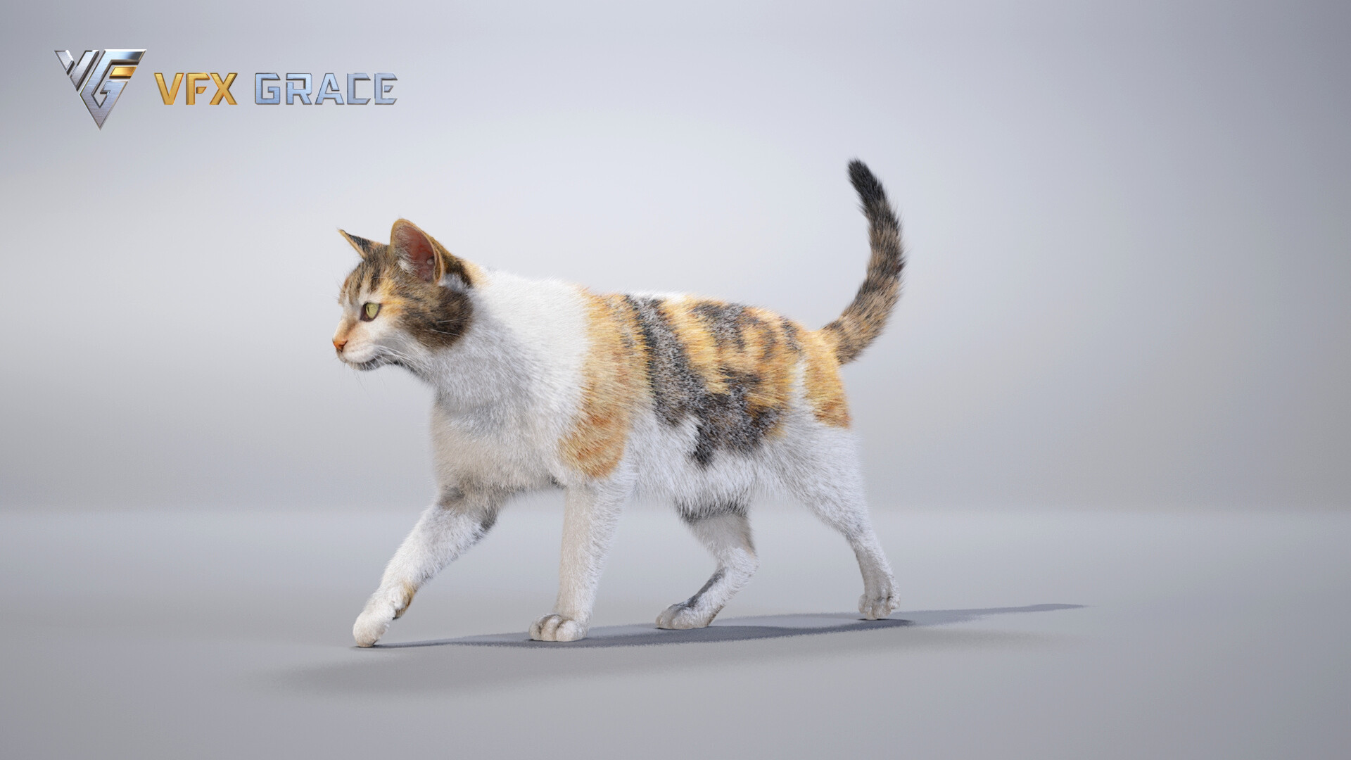 VFX models - Calico Cat Animation - UE Character Asset
