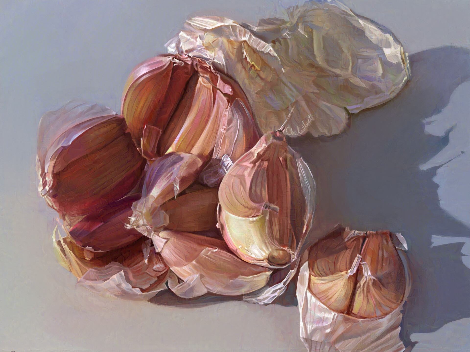 Chel illust. - Garlic Still Life