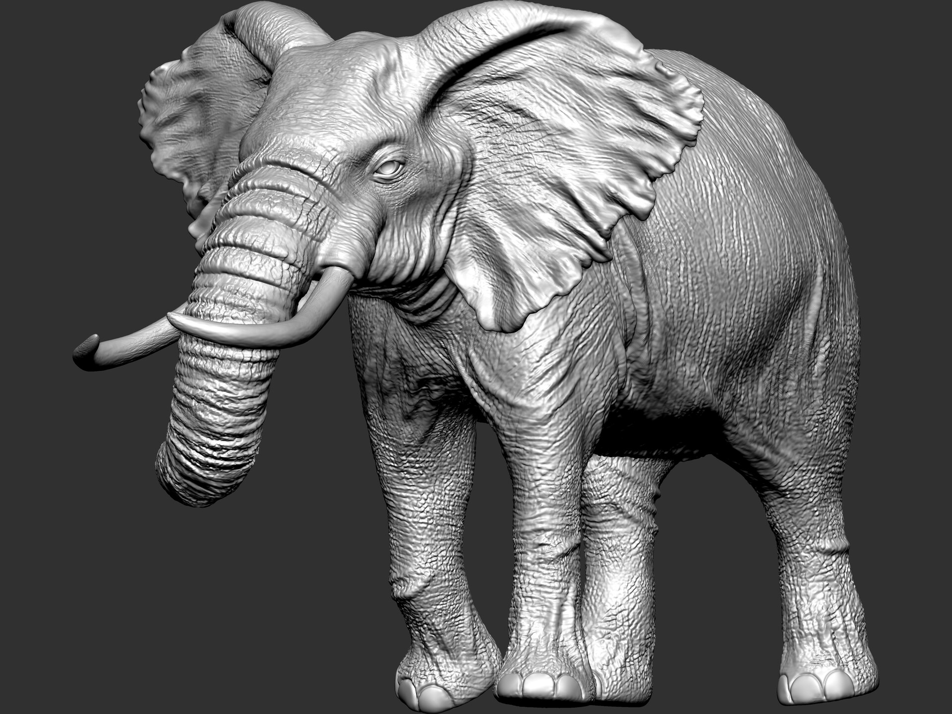 ArtStation - Aggressive Elephant