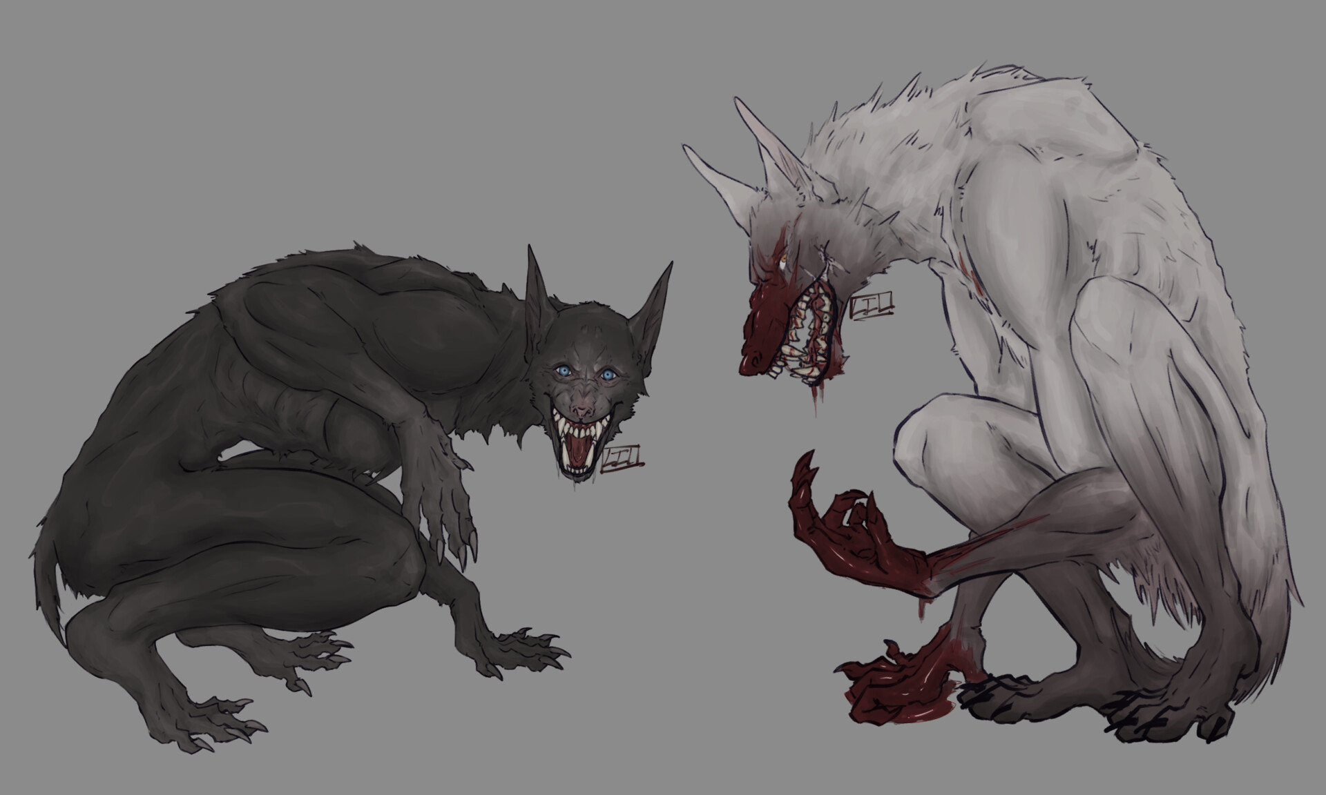 werewolf anatomy deviantart