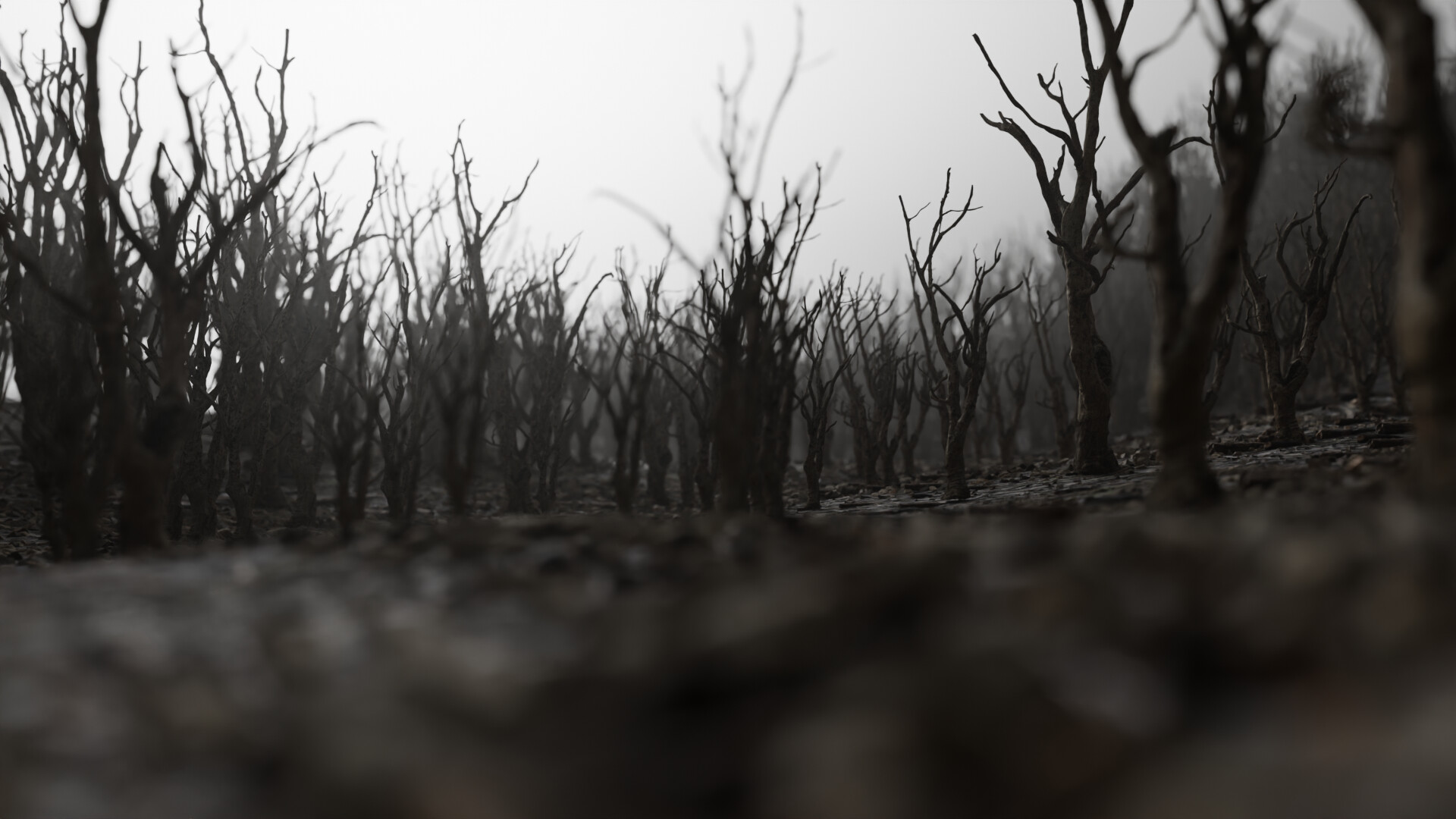 ArtStation - Dead Forrest