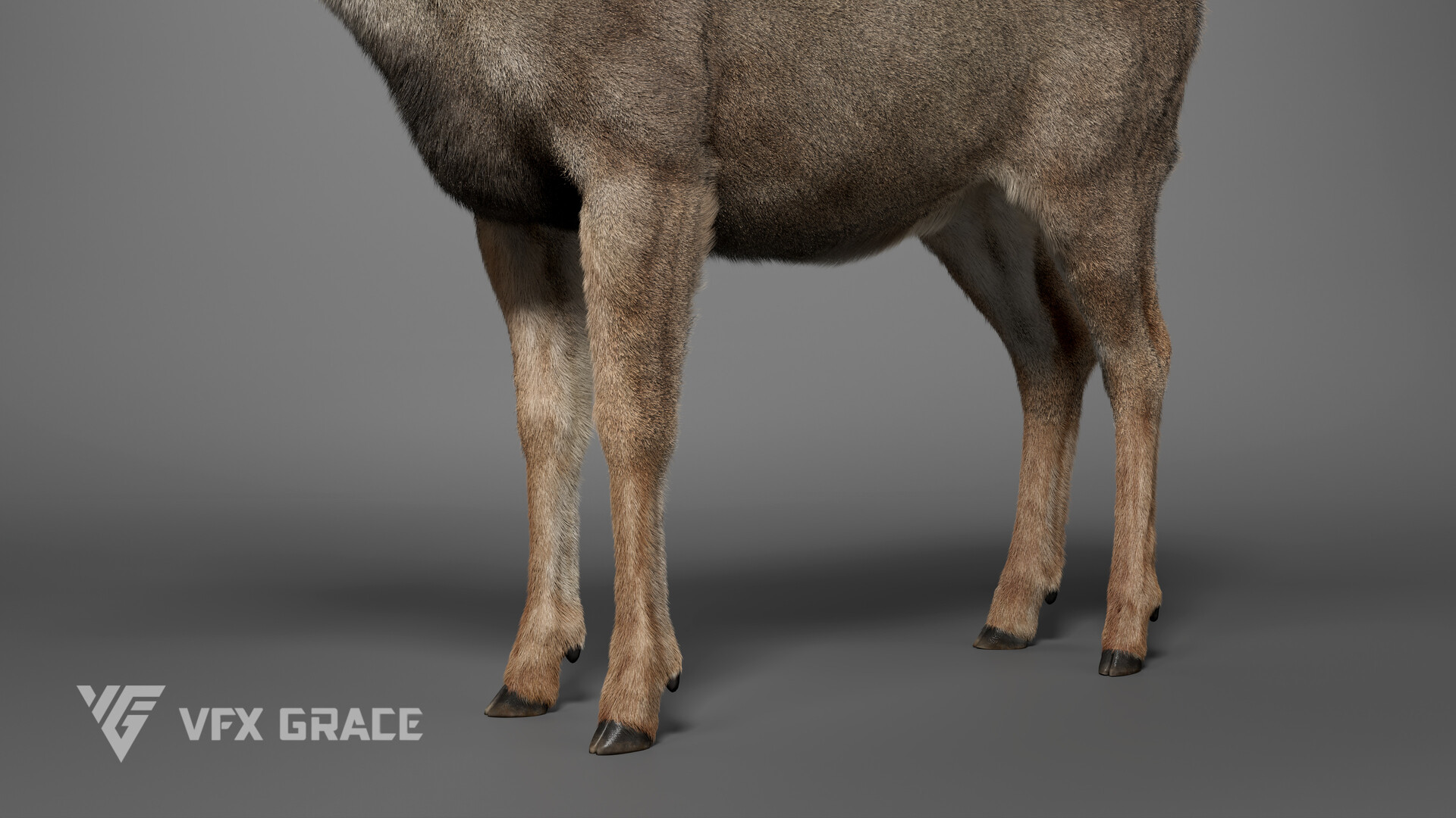 VFX models - Mule Deer Animated - MAYA Character Asset