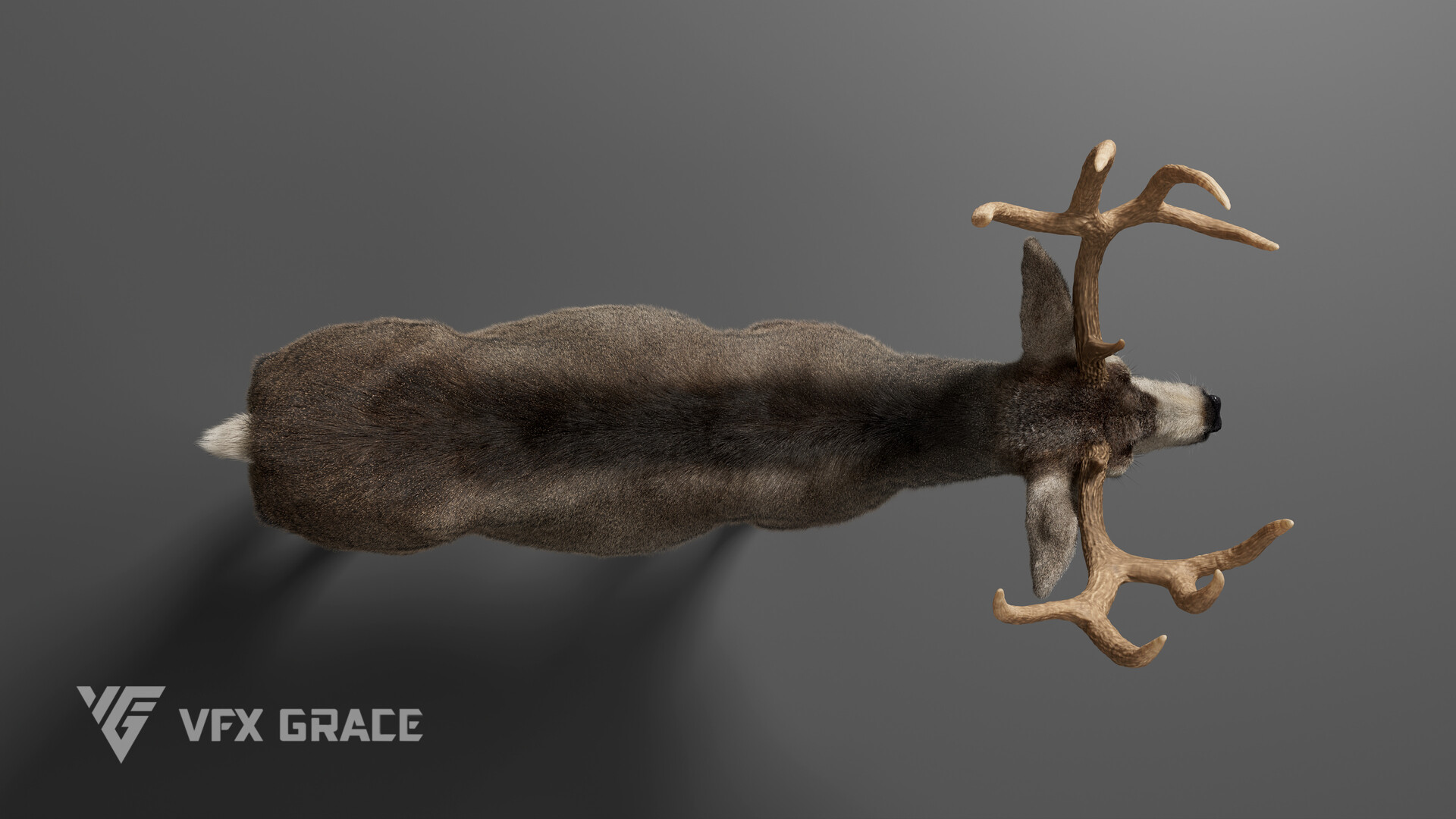 VFX models - Mule Deer Animated - MAYA Character Asset