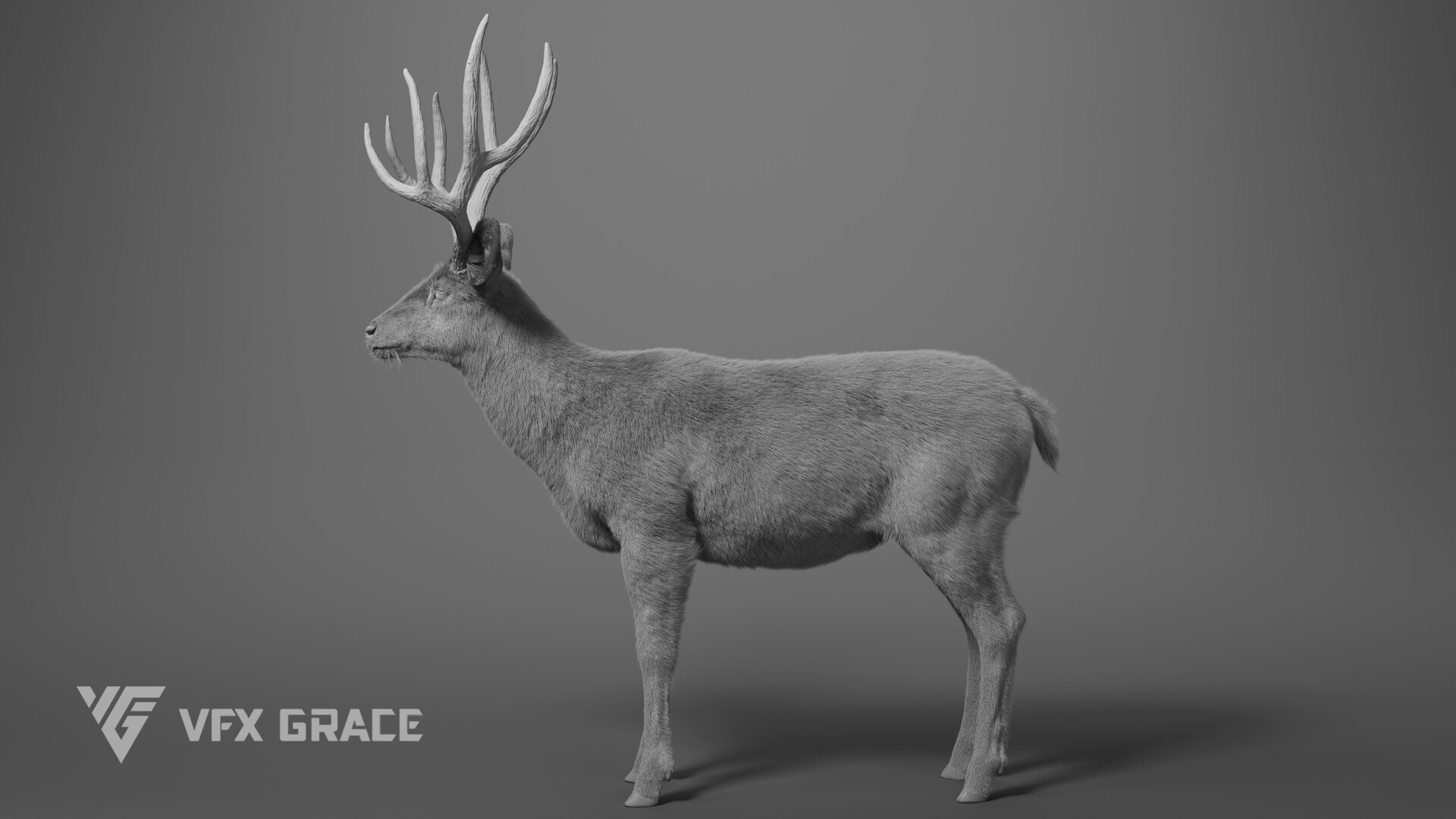 VFX models - Mule Deer Animated - MAYA Character Asset