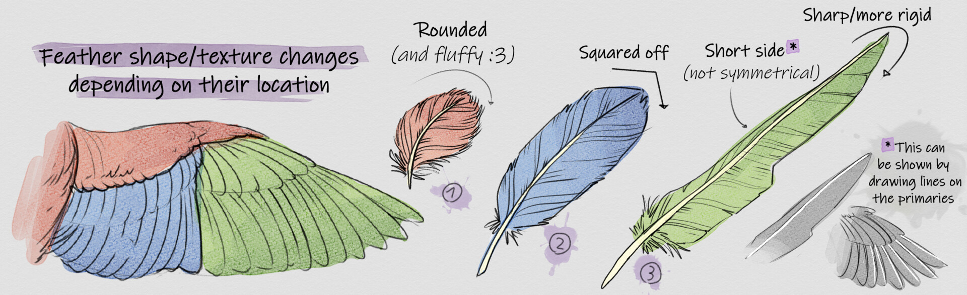 wing texture drawing