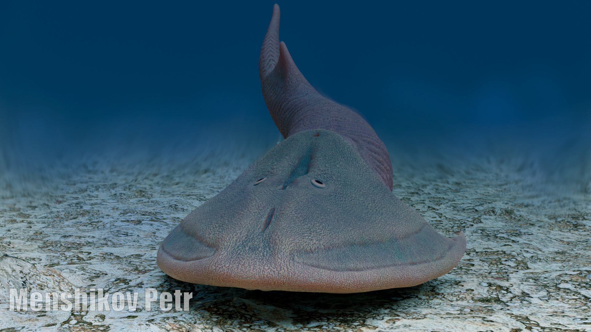 ArtStation - 3D model of Cephalaspis lyelli