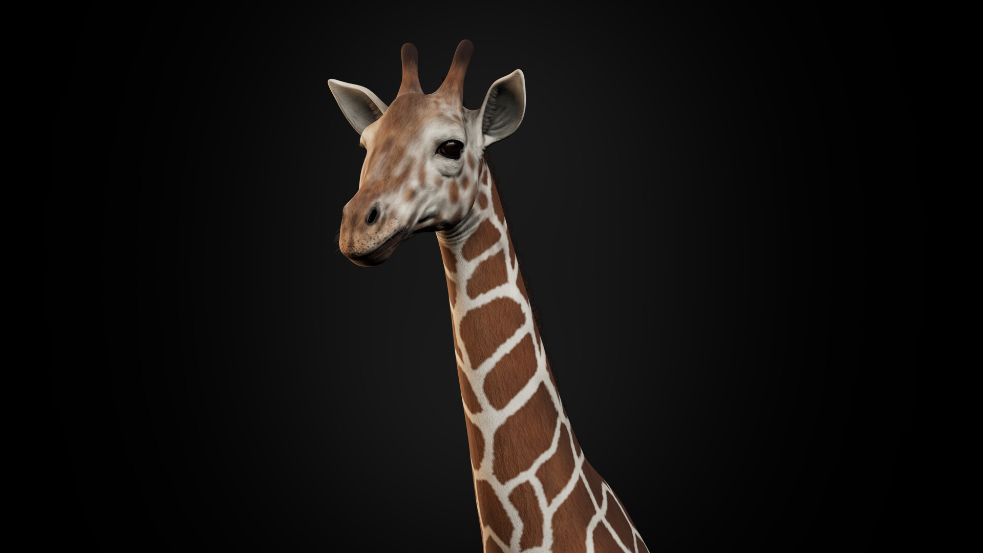 ArtStation - Giraffe 🦒