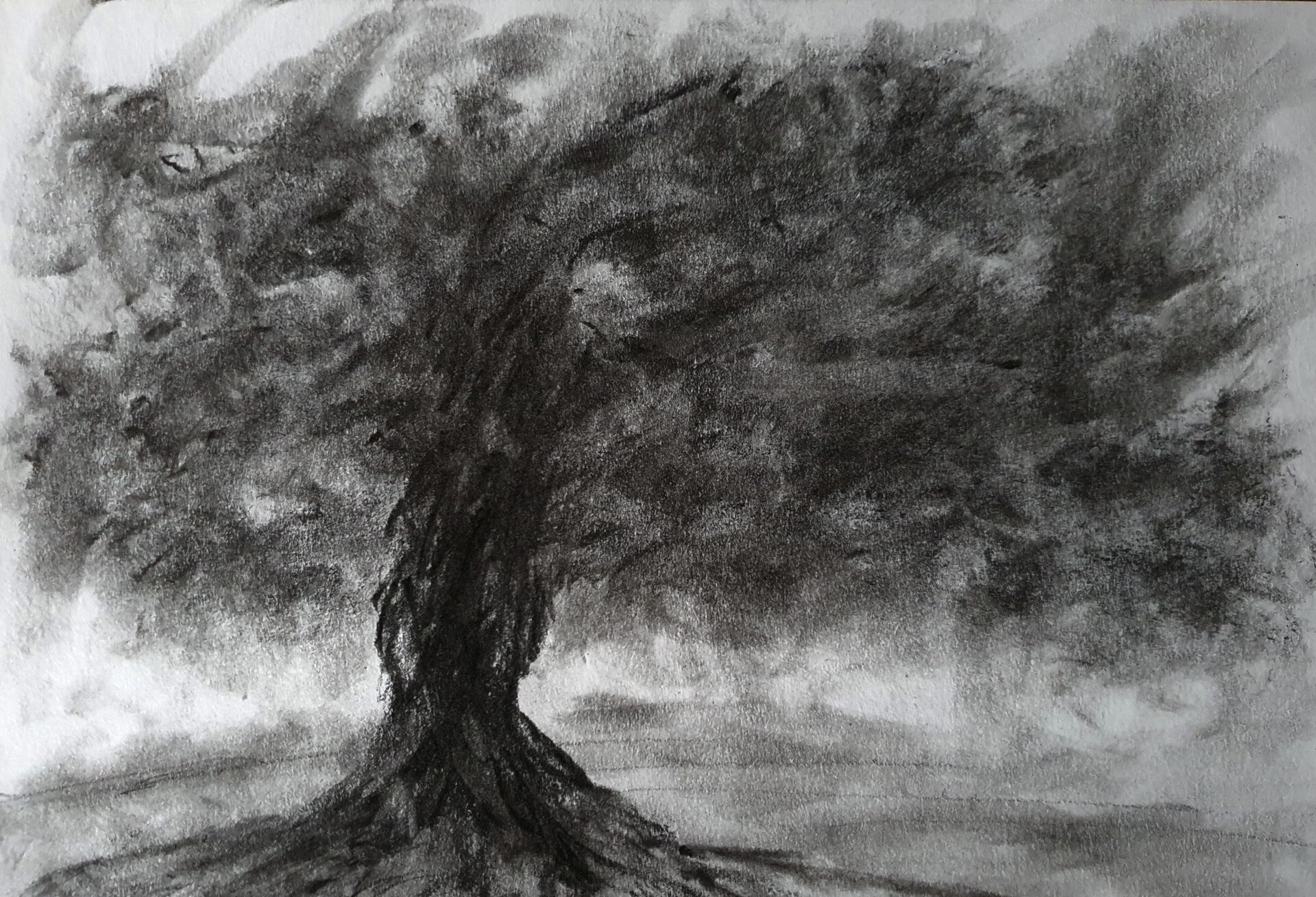 ArtStation - Charcoal Tree Sketch