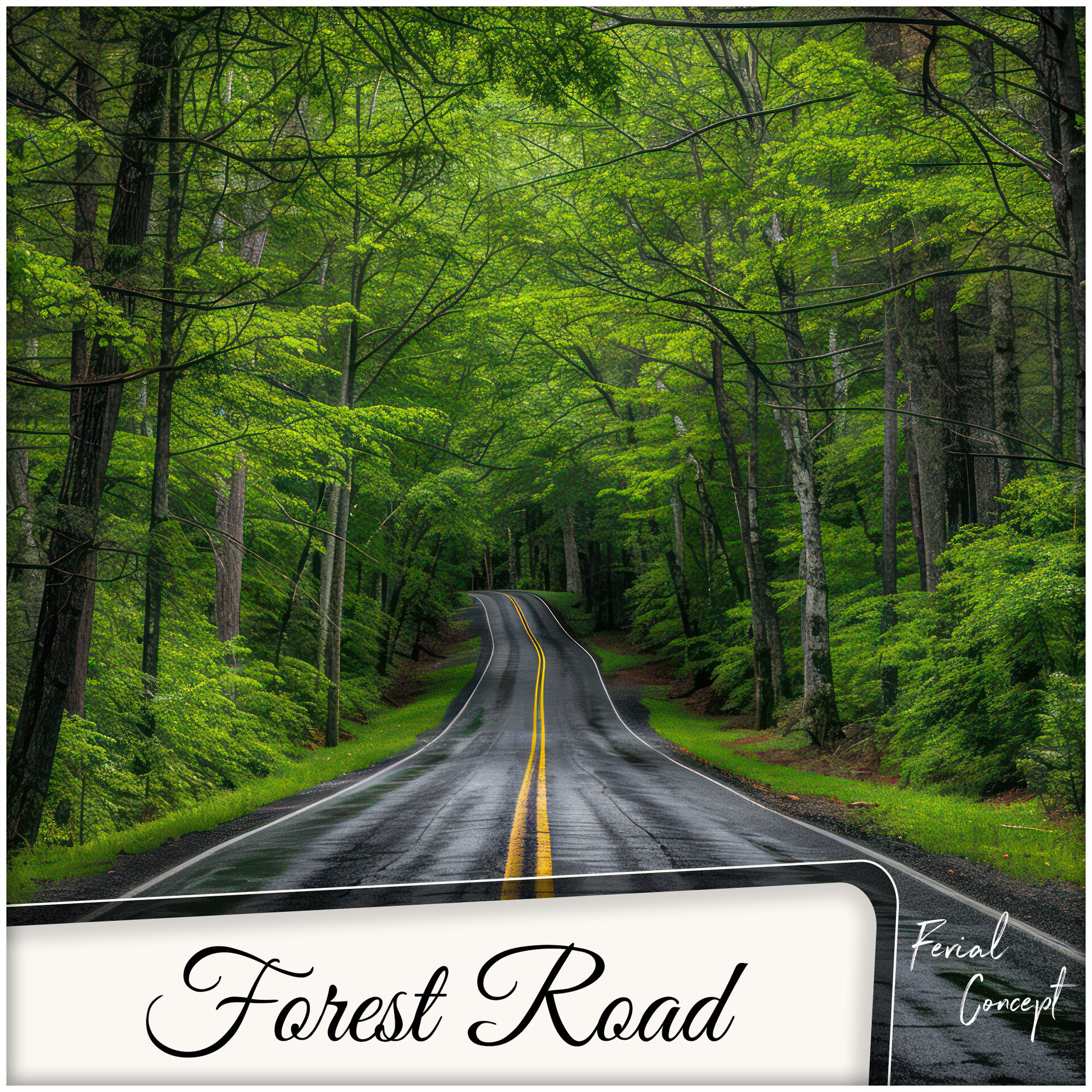 ArtStation - 🔹200 Forest Road - Nature Concept Reference Image Pack v ...