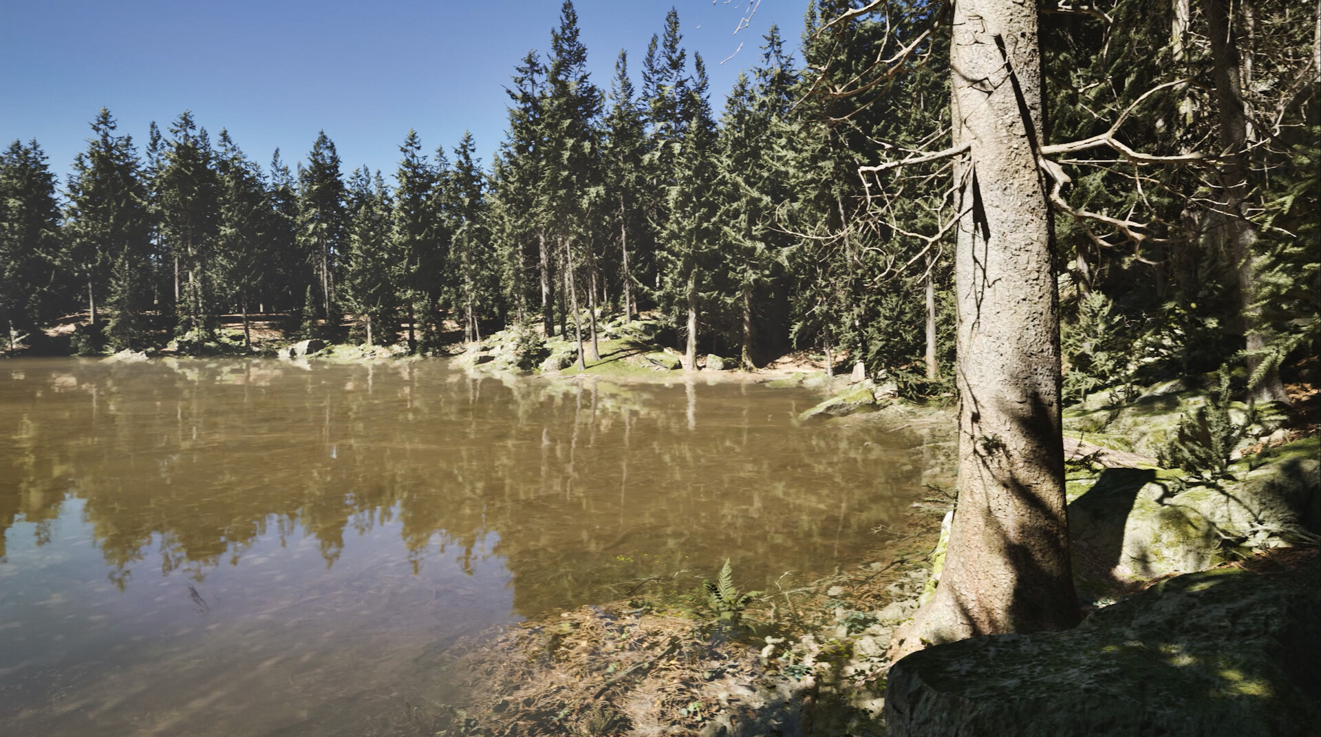 Pasquale Scionti - Realtime Gameplay Realistic Forest Path Unreal ...