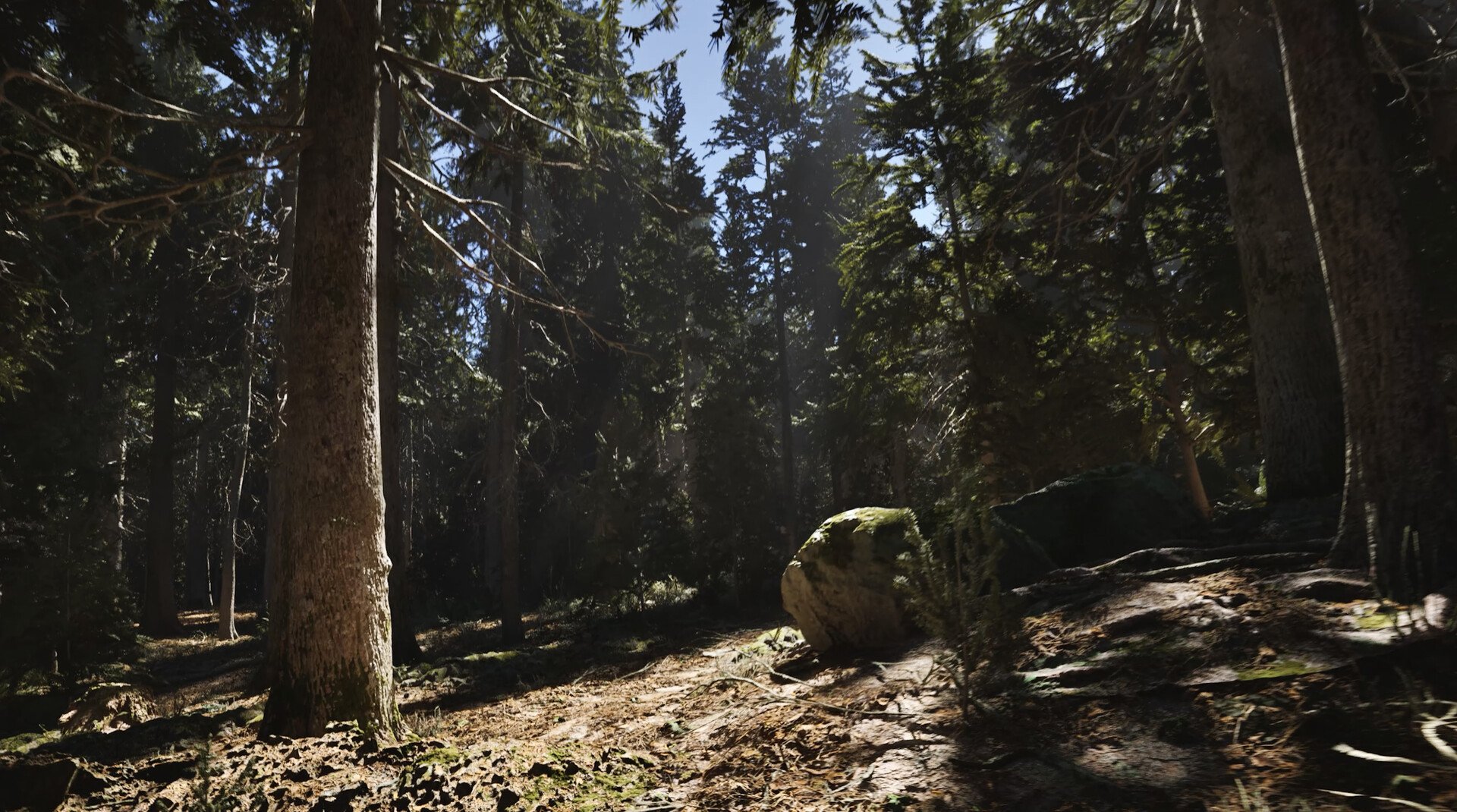 Pasquale Scionti - Realtime Gameplay Realistic Forest Path Unreal ...