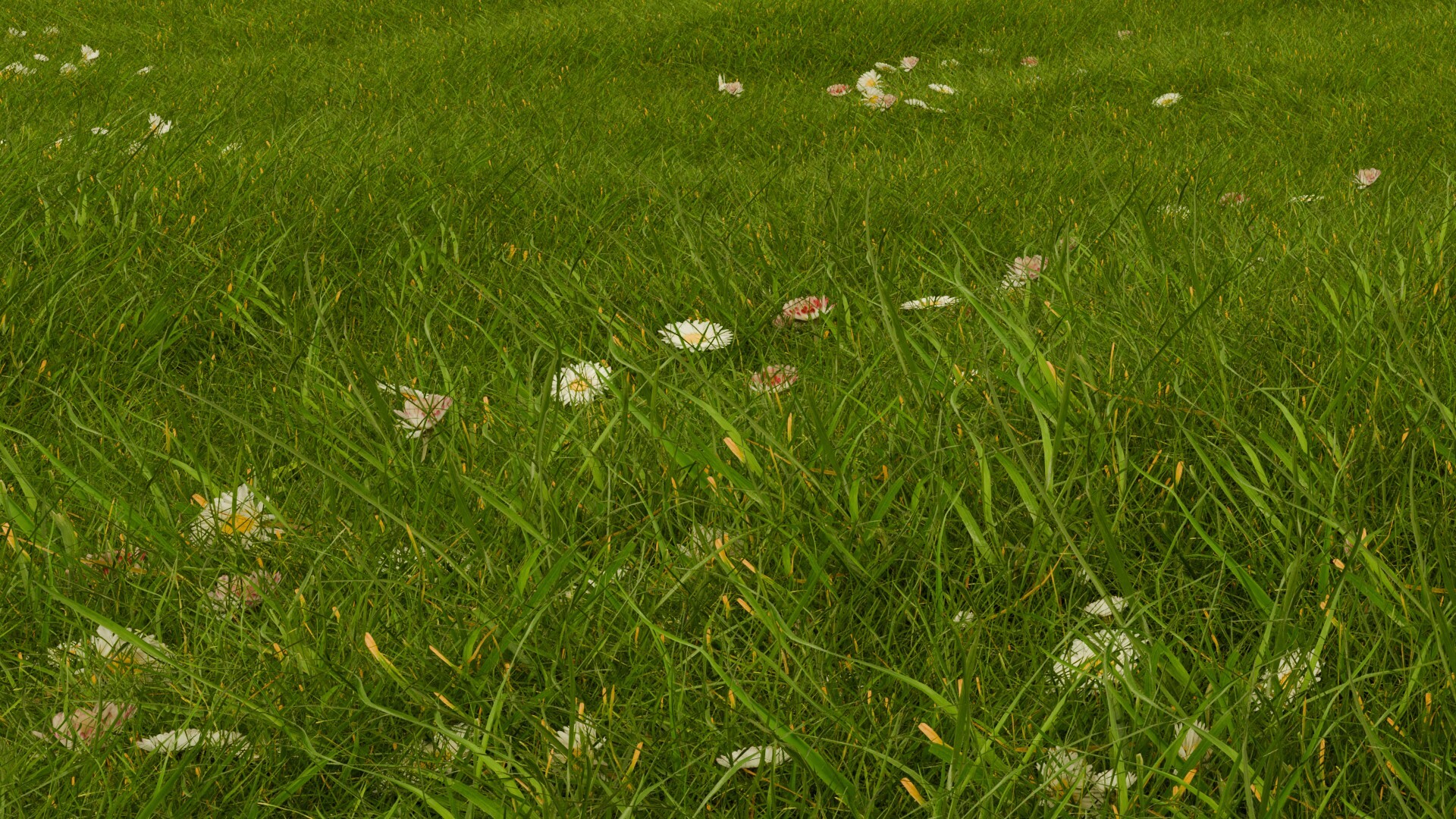 ArtStation - Grass field