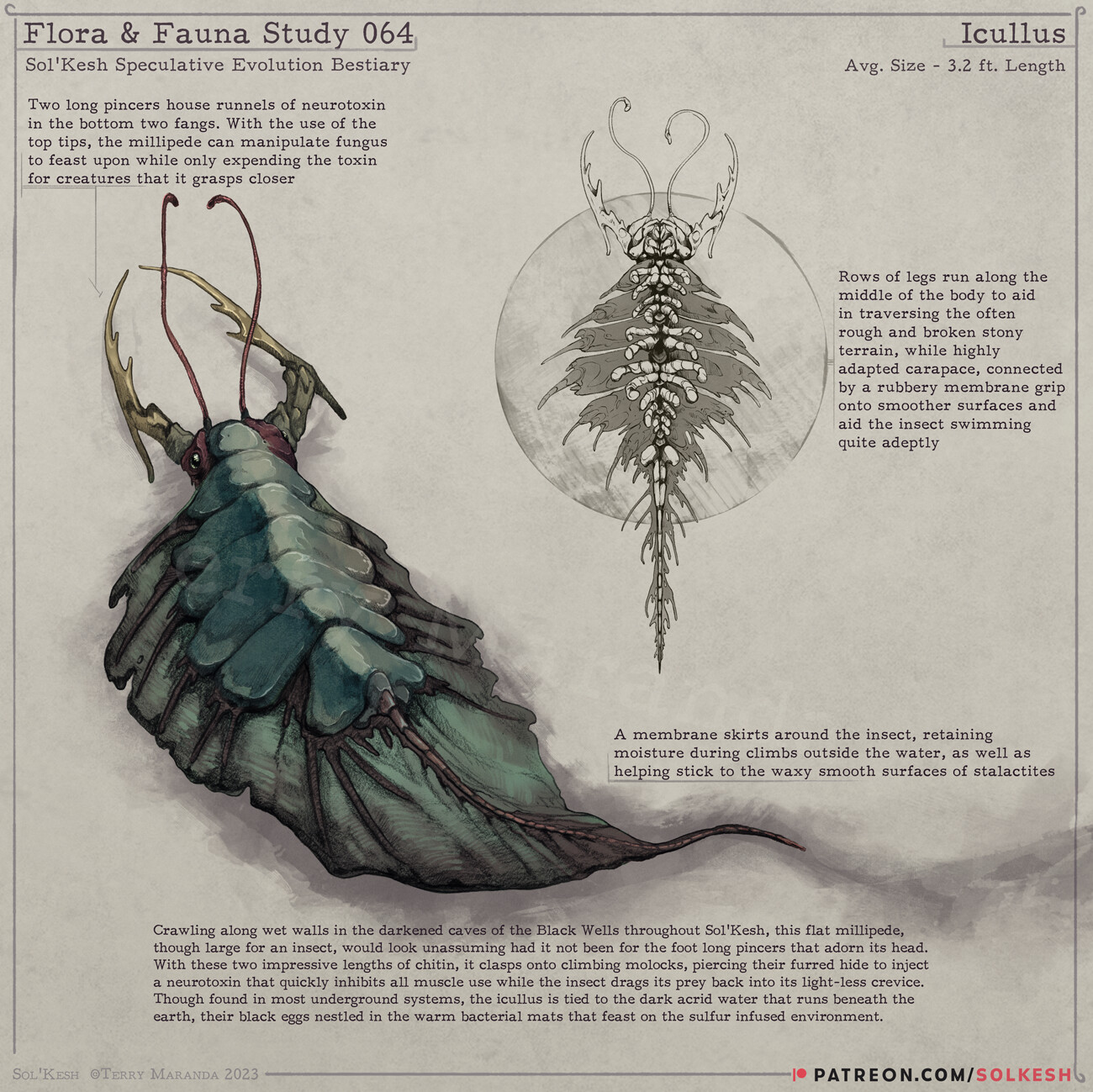 ArtStation - Creature Journal Icullus