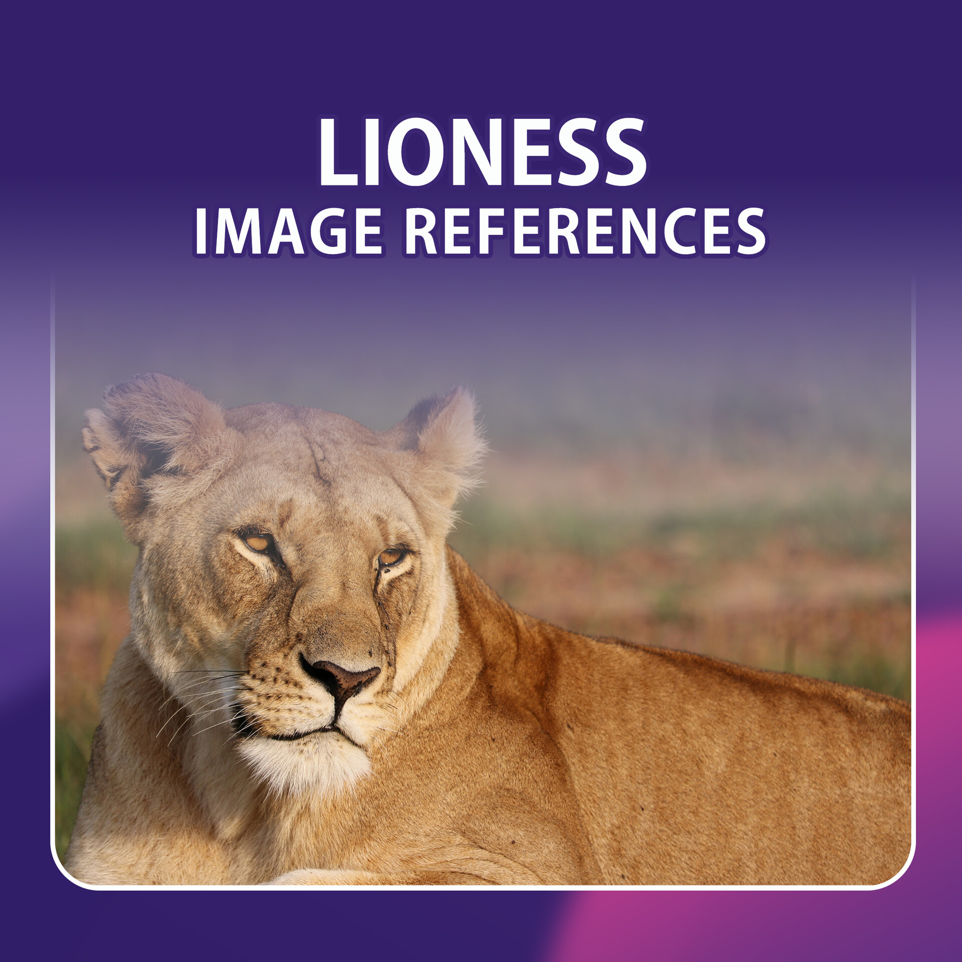 ArtStation - 400 Lioness Image Reference – Vol 1