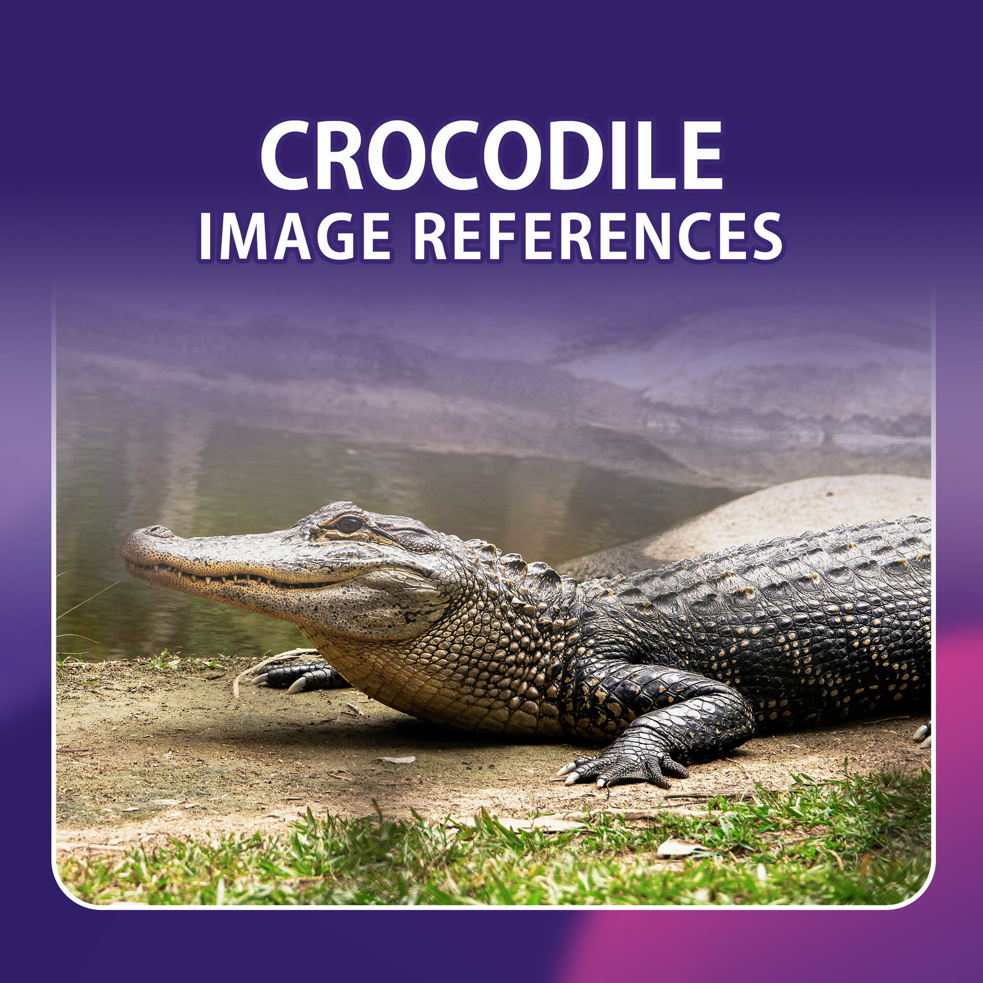 ArtStation - 400 Crocodile Image Reference – Vol 1