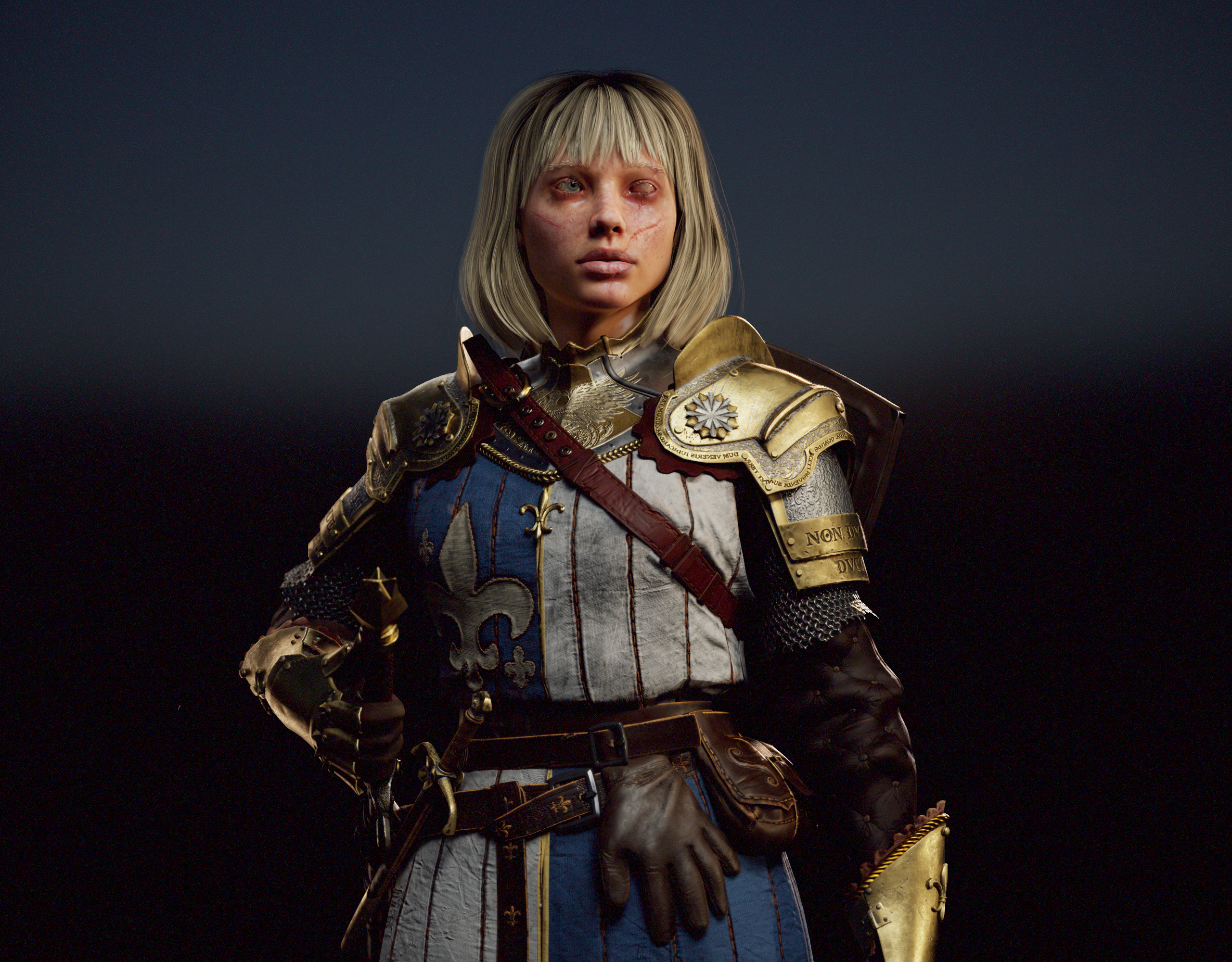 Royal Knight by Rodrigo Bolsoni : r/ReasonableFantasy