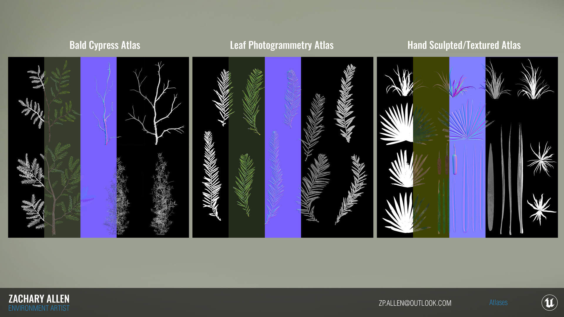 Zachary Allen - Louisiana Bayou: Foliage Study