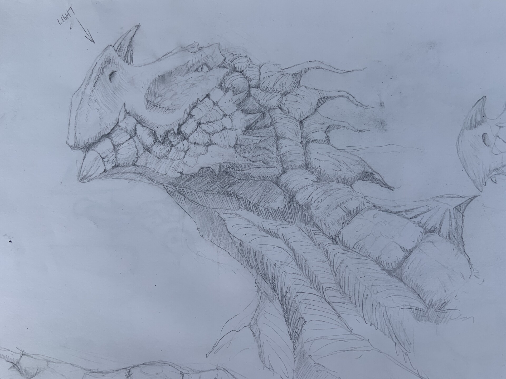 Dean Barrett - Three dragon head studies