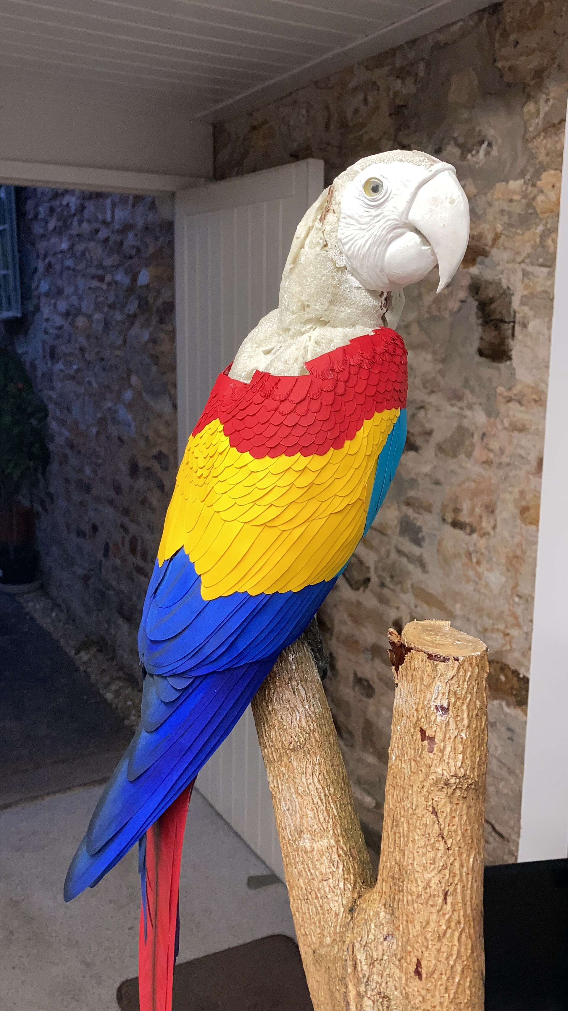 Jamie Lord - Macaws paper sculpture