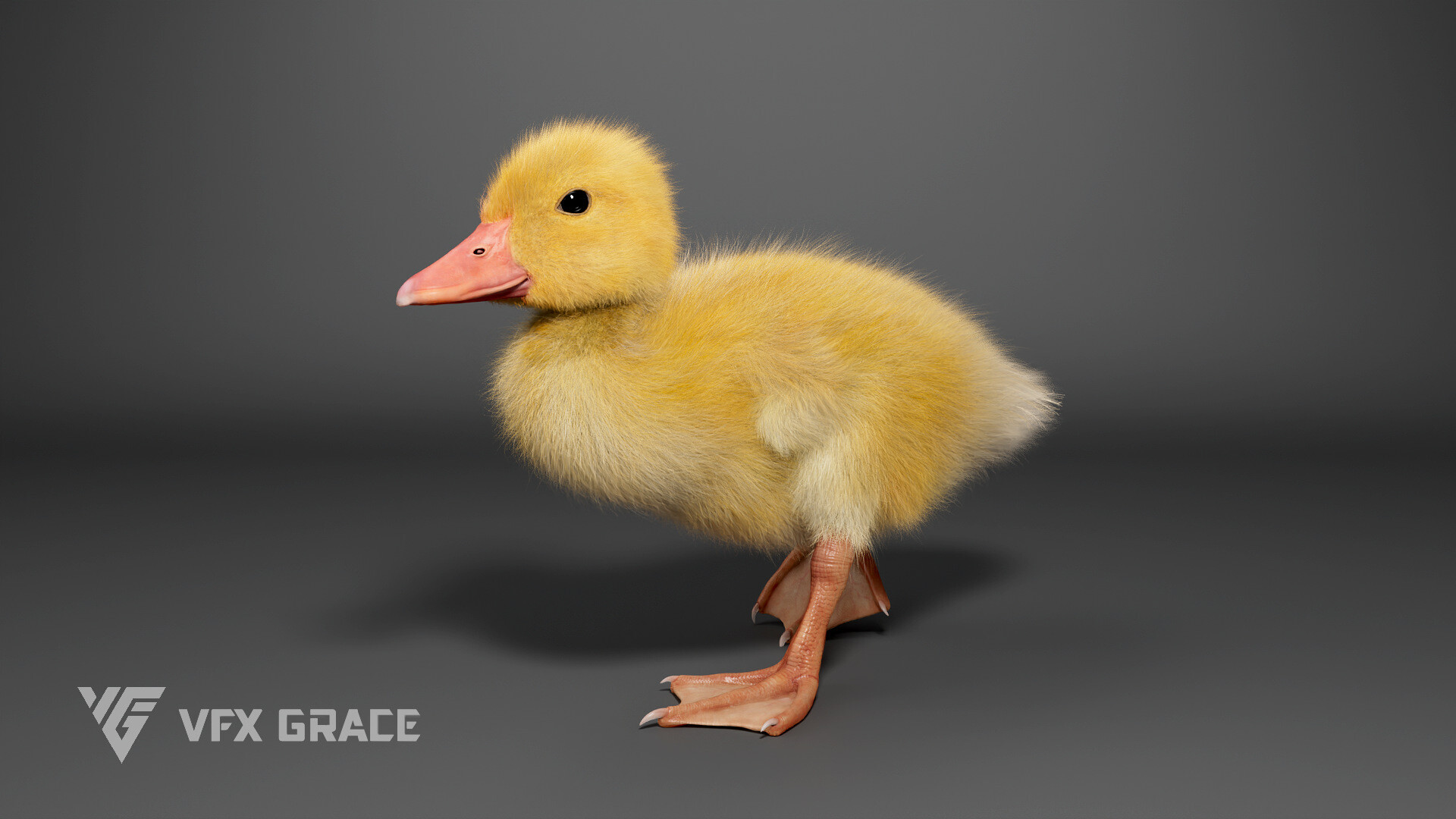 VFX models - Duckling Animated - MAYA Character Asset