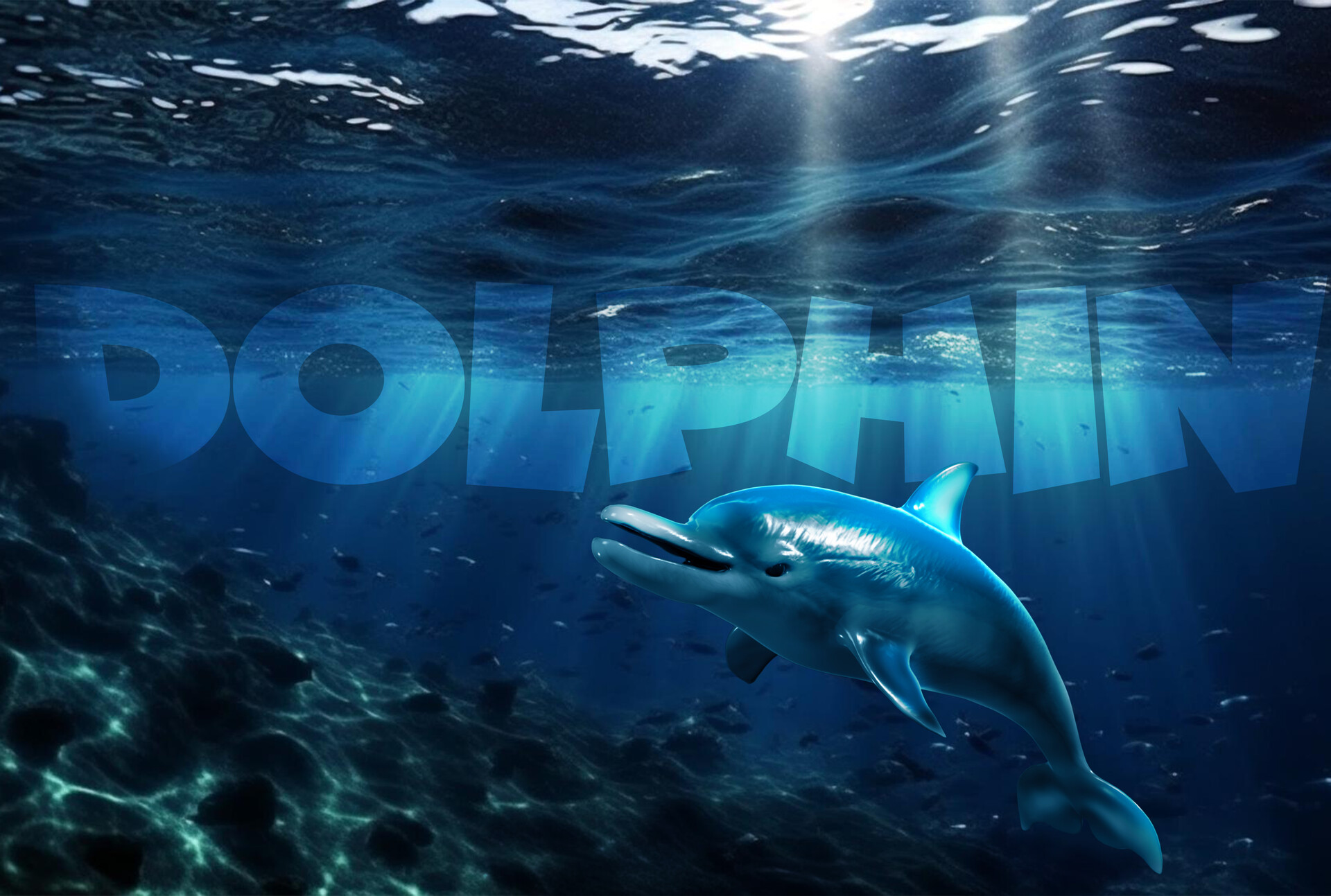 ArtStation - Dolphin Character Design